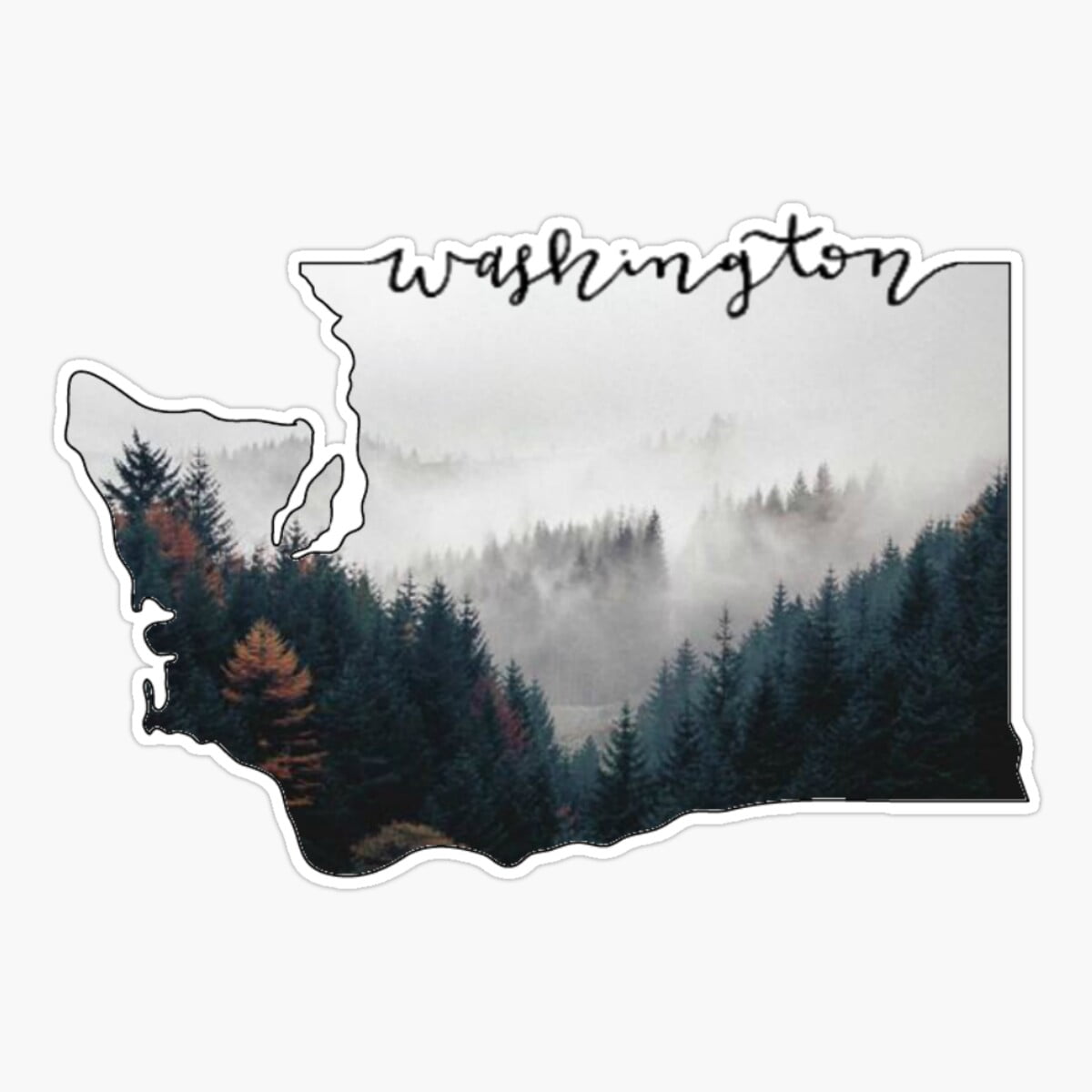 Maneki Washington State (Forest) Sticker, Phone Decal Water Bottle ...