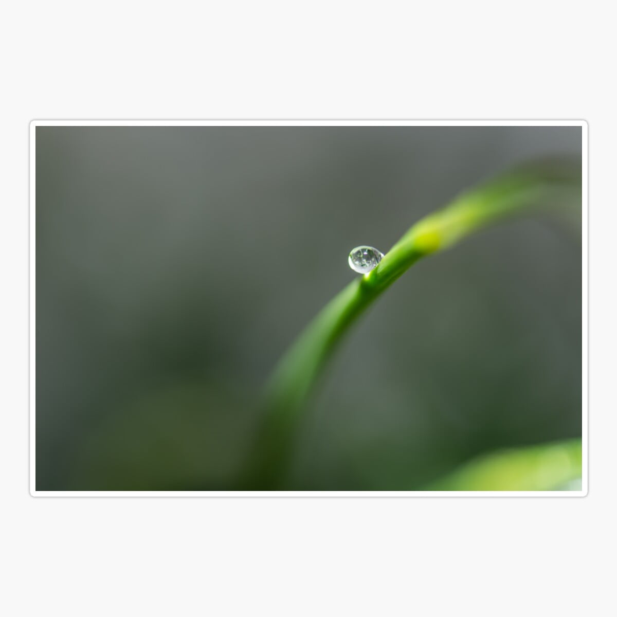 Maneki Water Drop, Diamond Sticker, Phone Decal Water Bottle Stickers ...