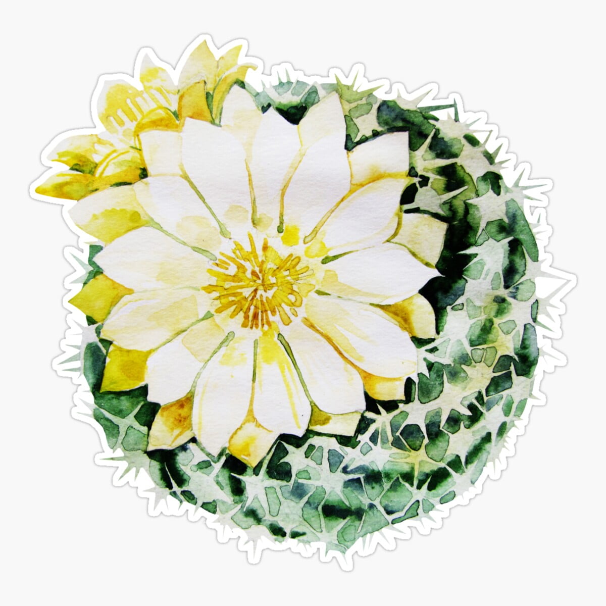 Maneki Watercolor Blooming Cactus Sticker, Phone Decal Water Bottle ...