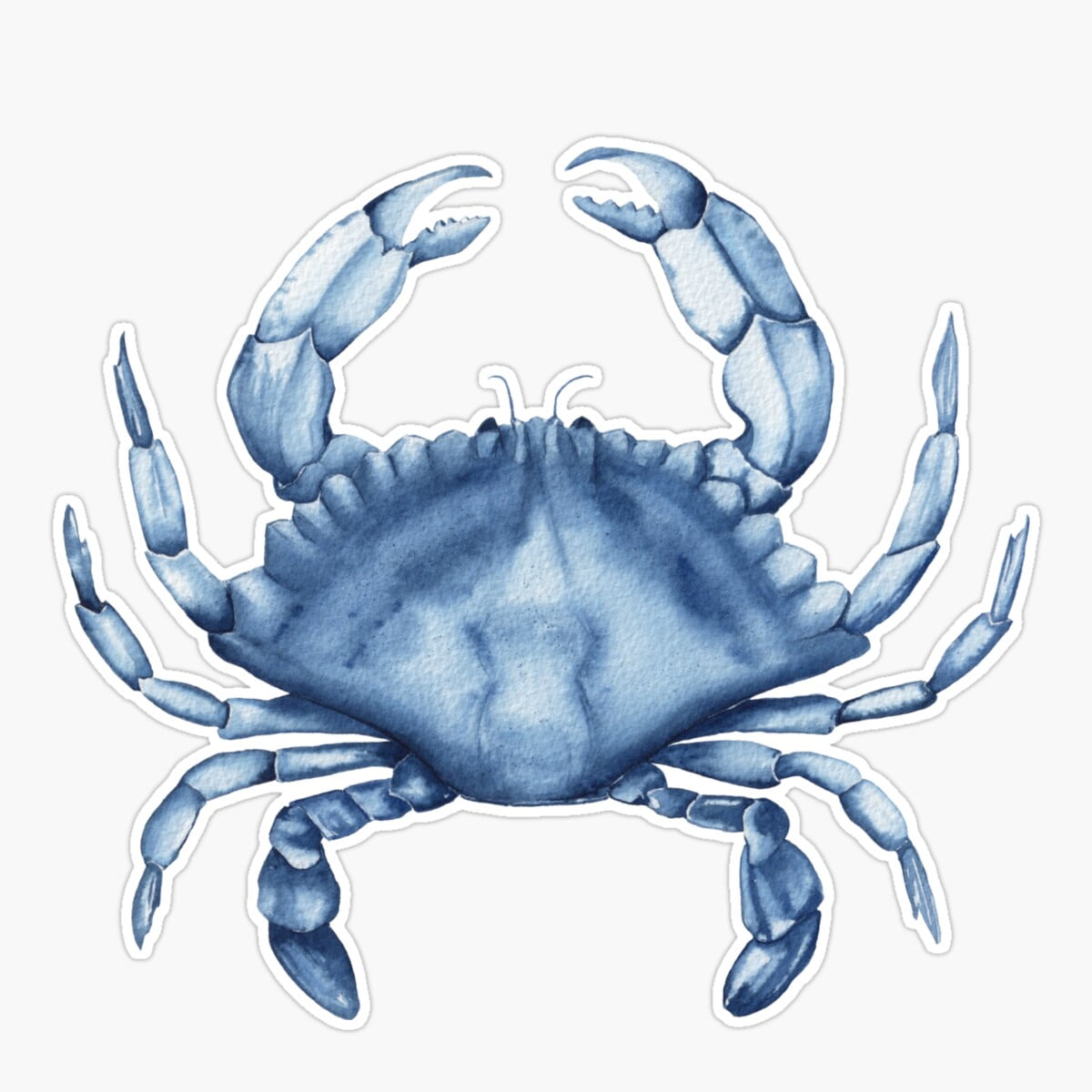 Maneki Watercolor Blue Crab Sticker, Phone Decal Water Bottle Stickers ...