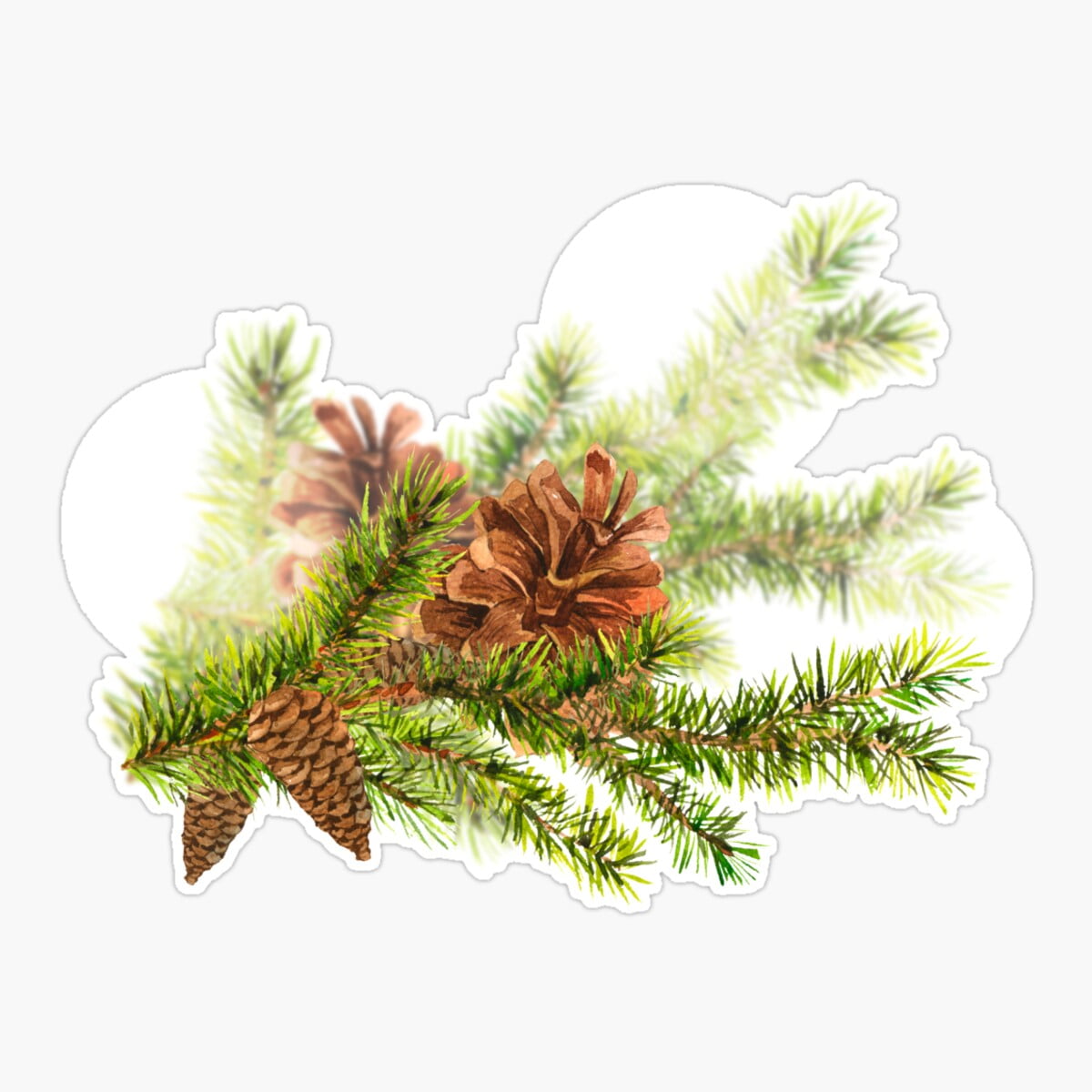 Maneki Watercolor Branches Of Spruce And Cones Sticker, Phone Decal ...