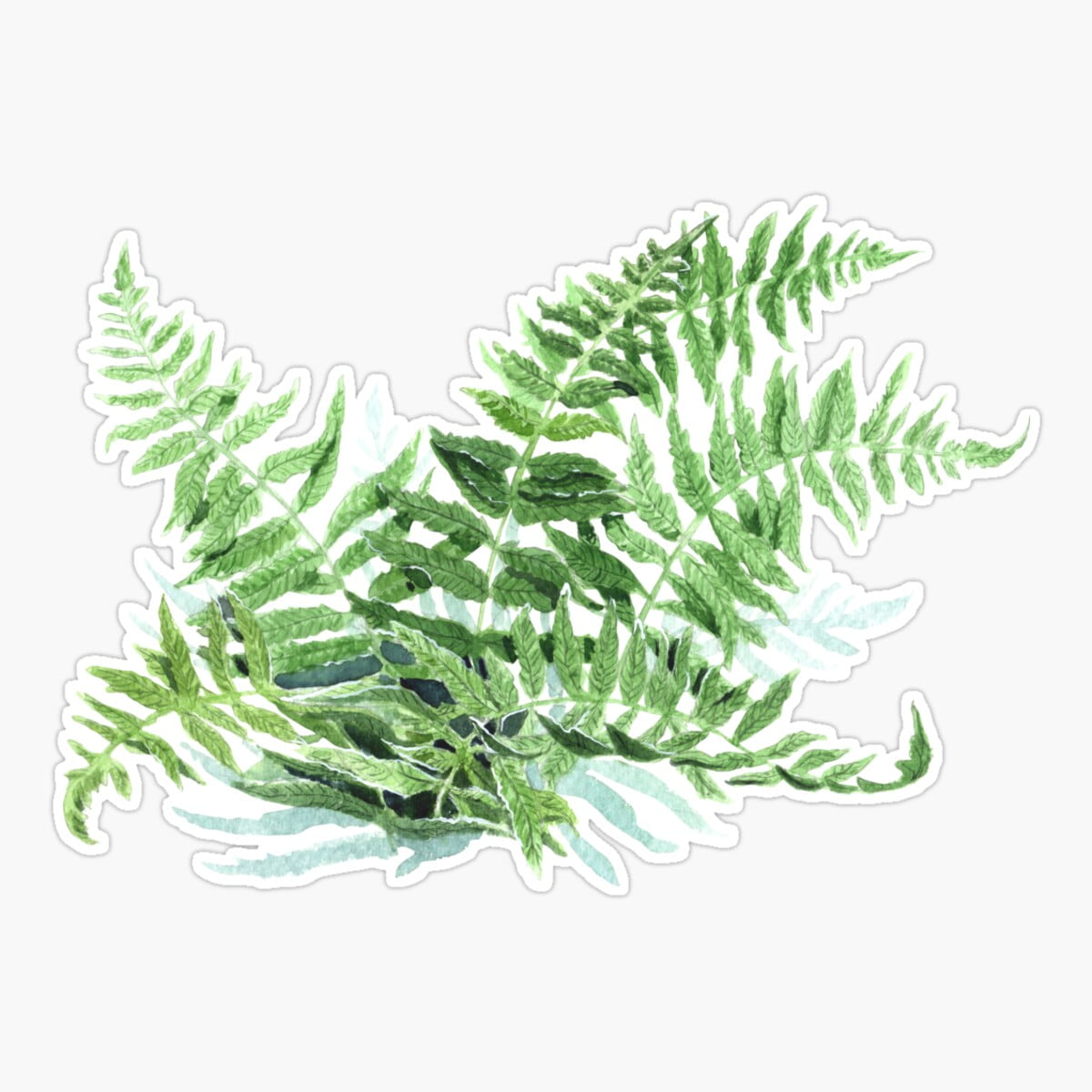 Maneki Watercolor Fern Sticker, Phone Decal Water Bottle Stickers Car ...