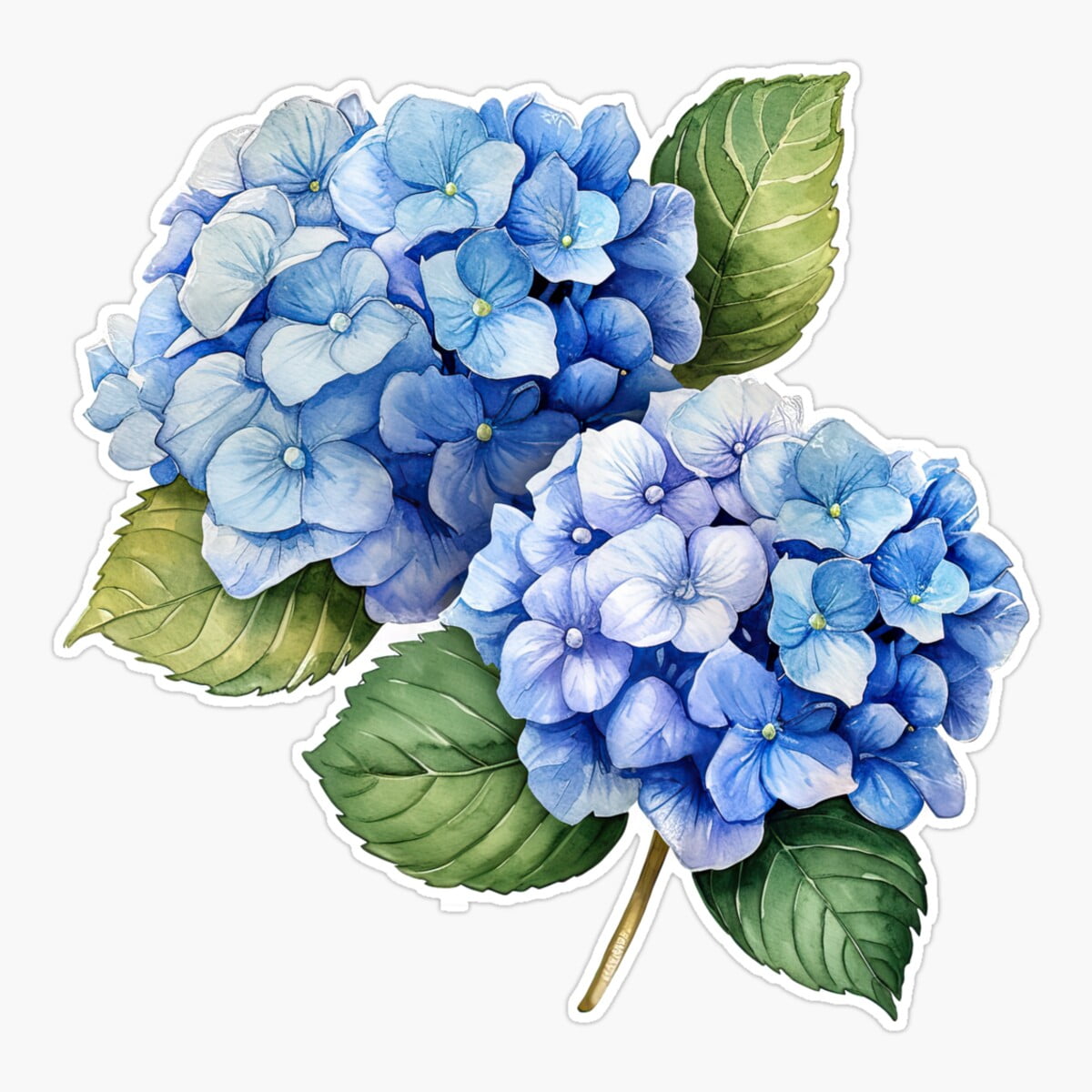 Maneki Watercolor Hydrangeas Sticker, Phone Decal Water Bottle Stickers ...