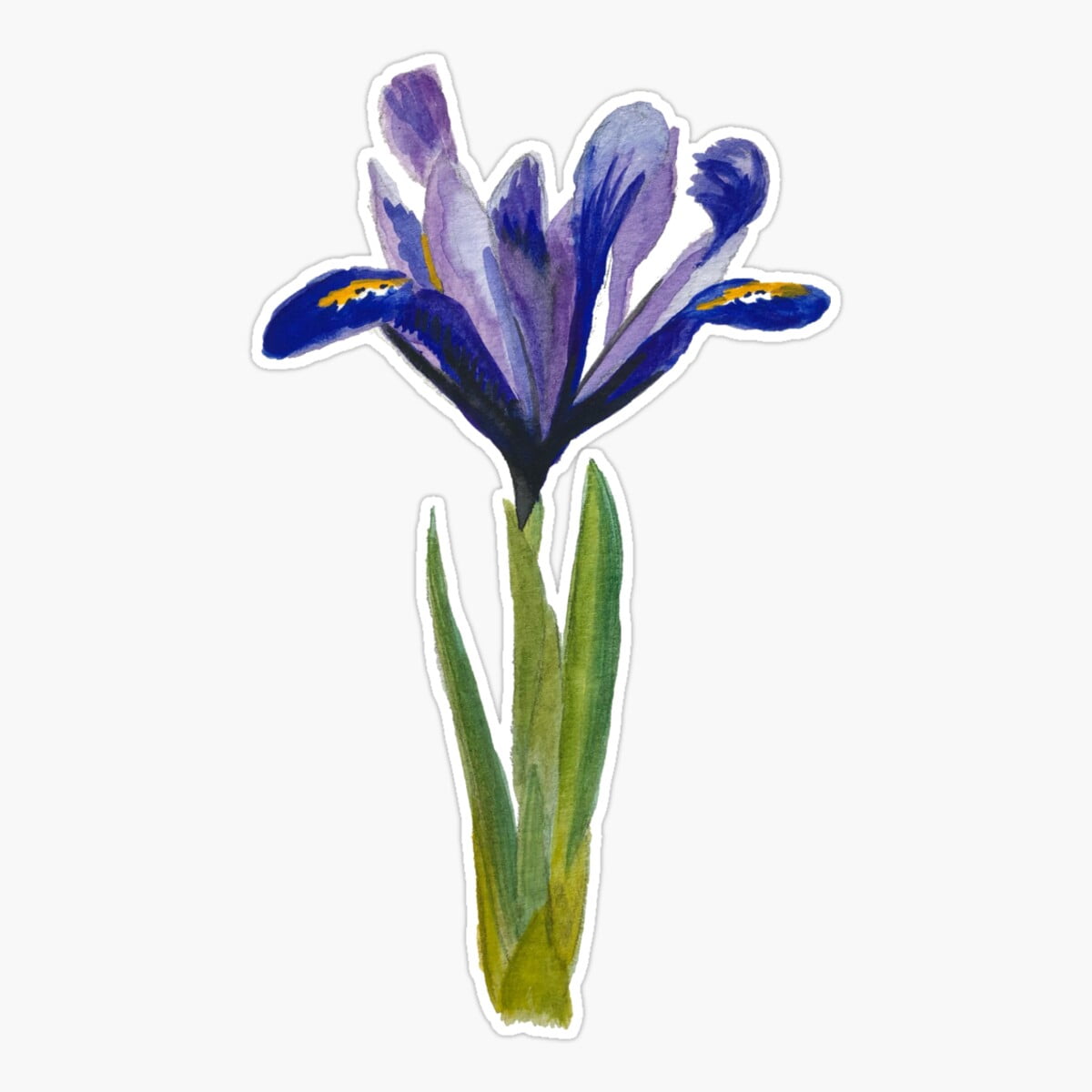 Maneki Watercolor Iris Reticulata Sticker, Phone Decal Water Bottle ...