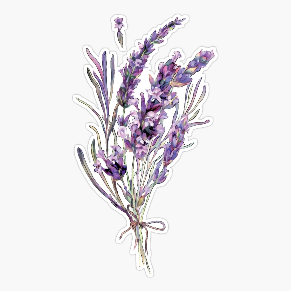 Maneki Watercolor Lavender Bouquet Sticker, Phone Decal Water Bottle ...