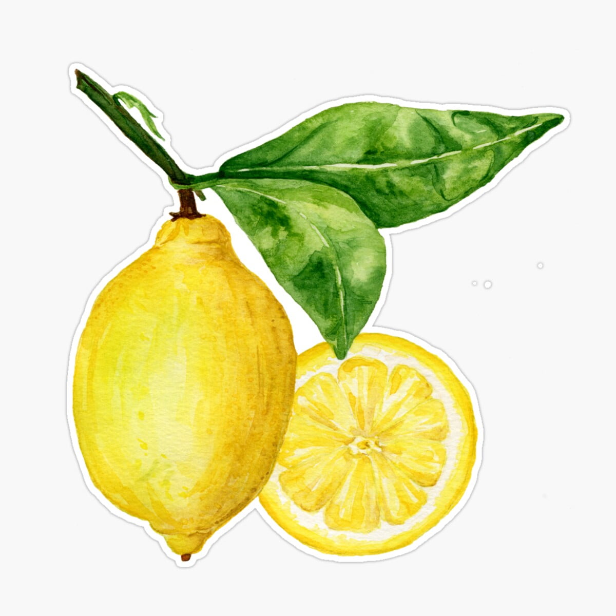 Maneki Watercolor Lemon Sticker, Phone Decal Water Bottle Stickers Car ...