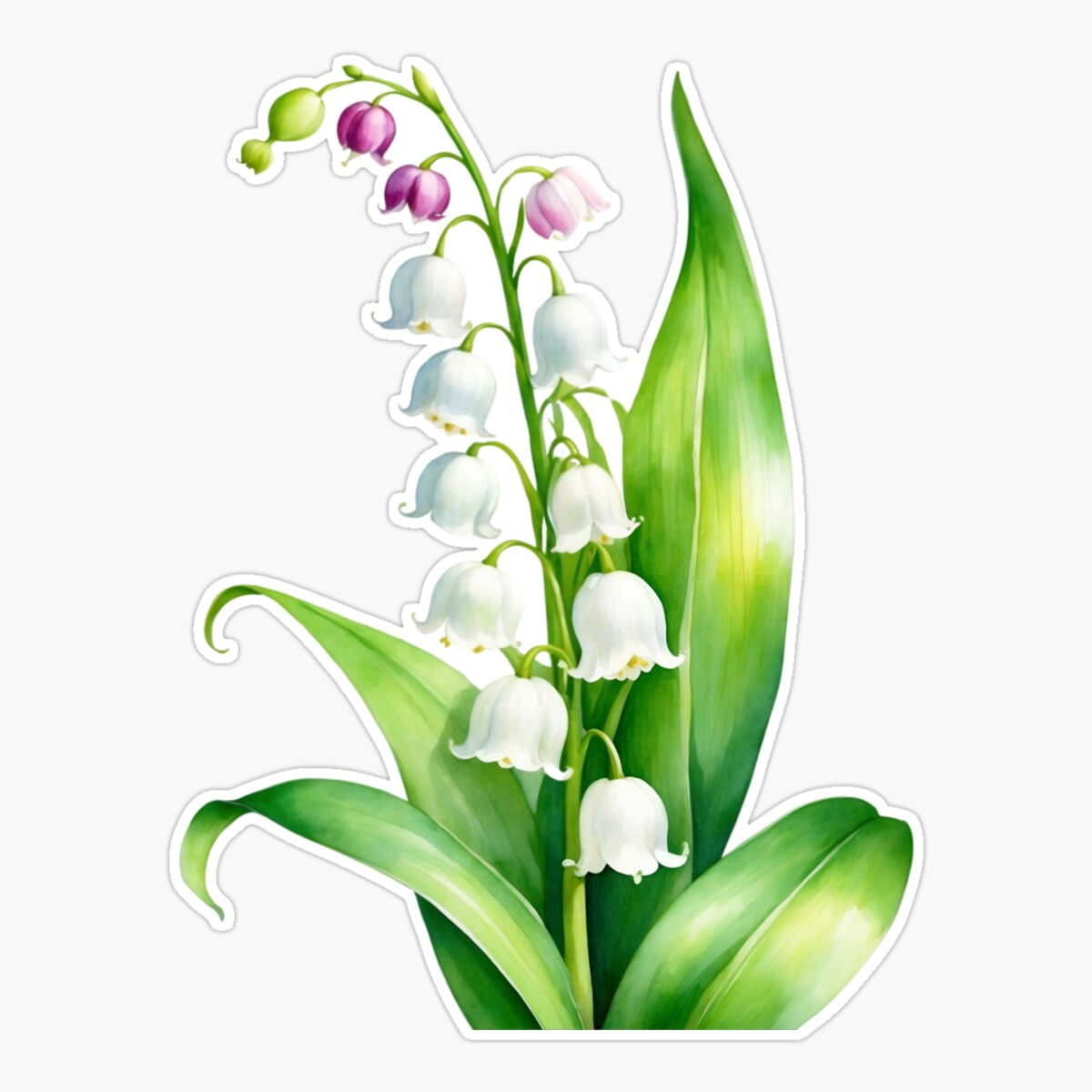 Maneki Watercolor Paintings Of Lily Of The Valley Flowers. Sticker ...