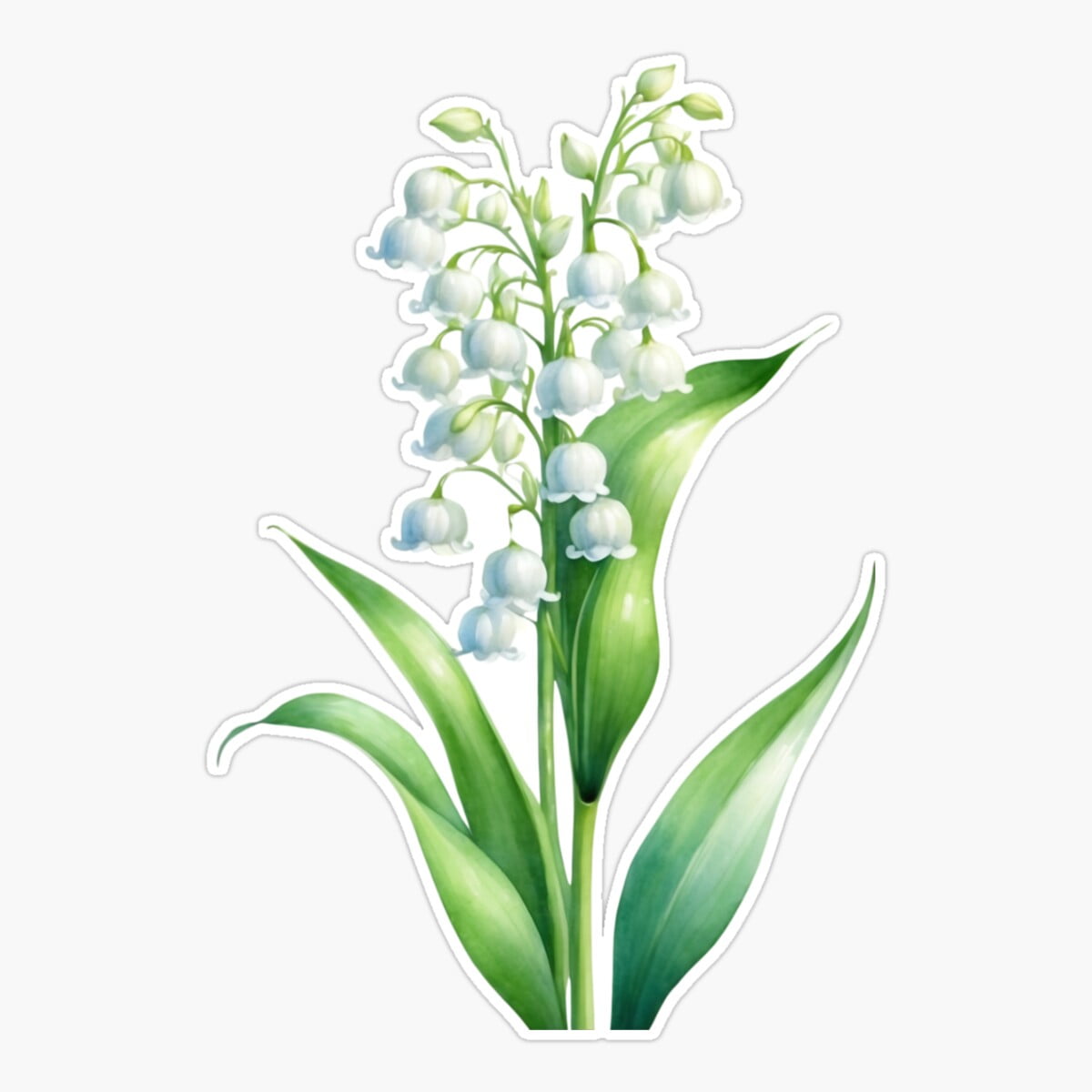 Maneki Watercolor Paintings Of Lily Of The Valley Flowers. Sticker ...
