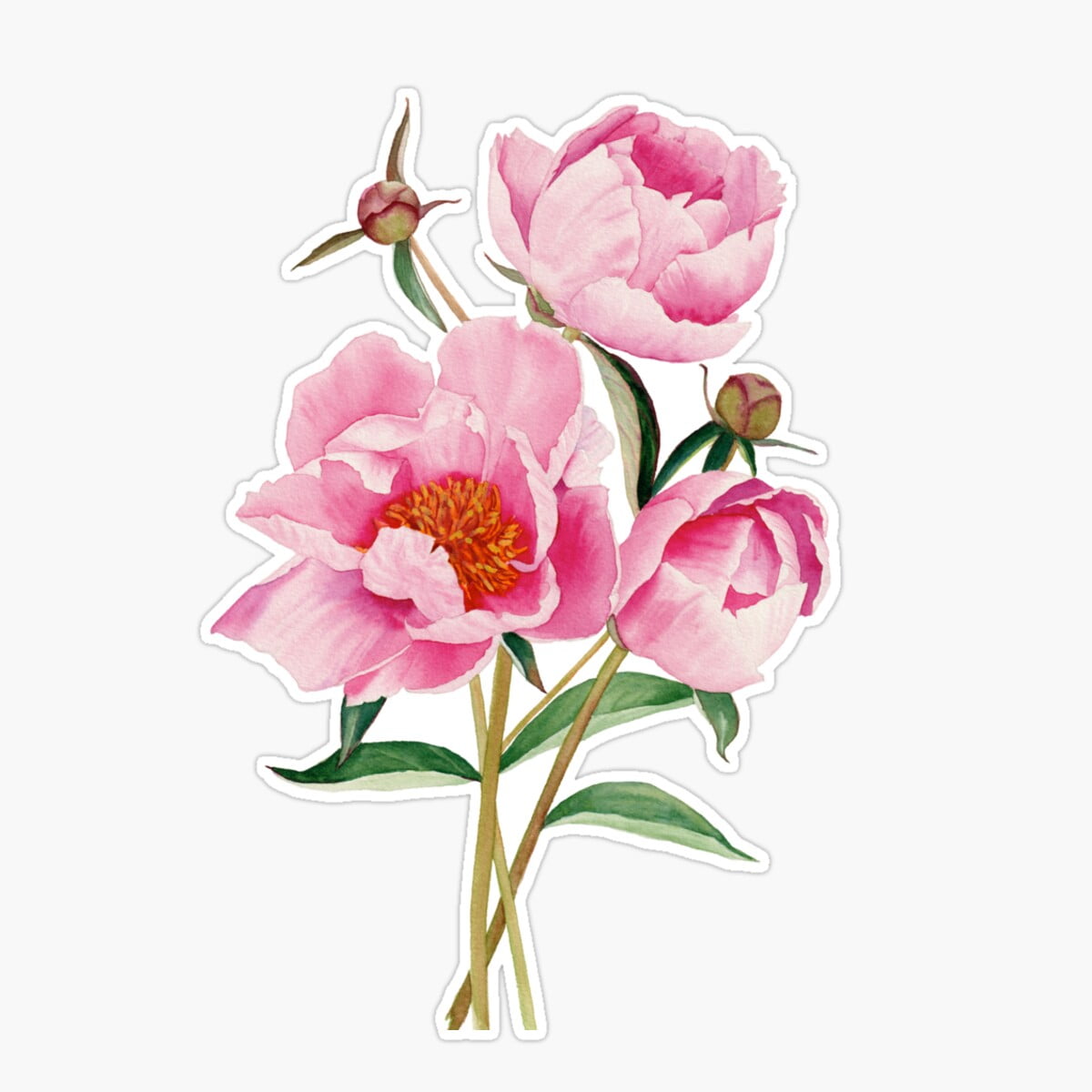 Maneki Watercolor Peonies Bouquet Sticker, Phone Decal Water Bottle ...