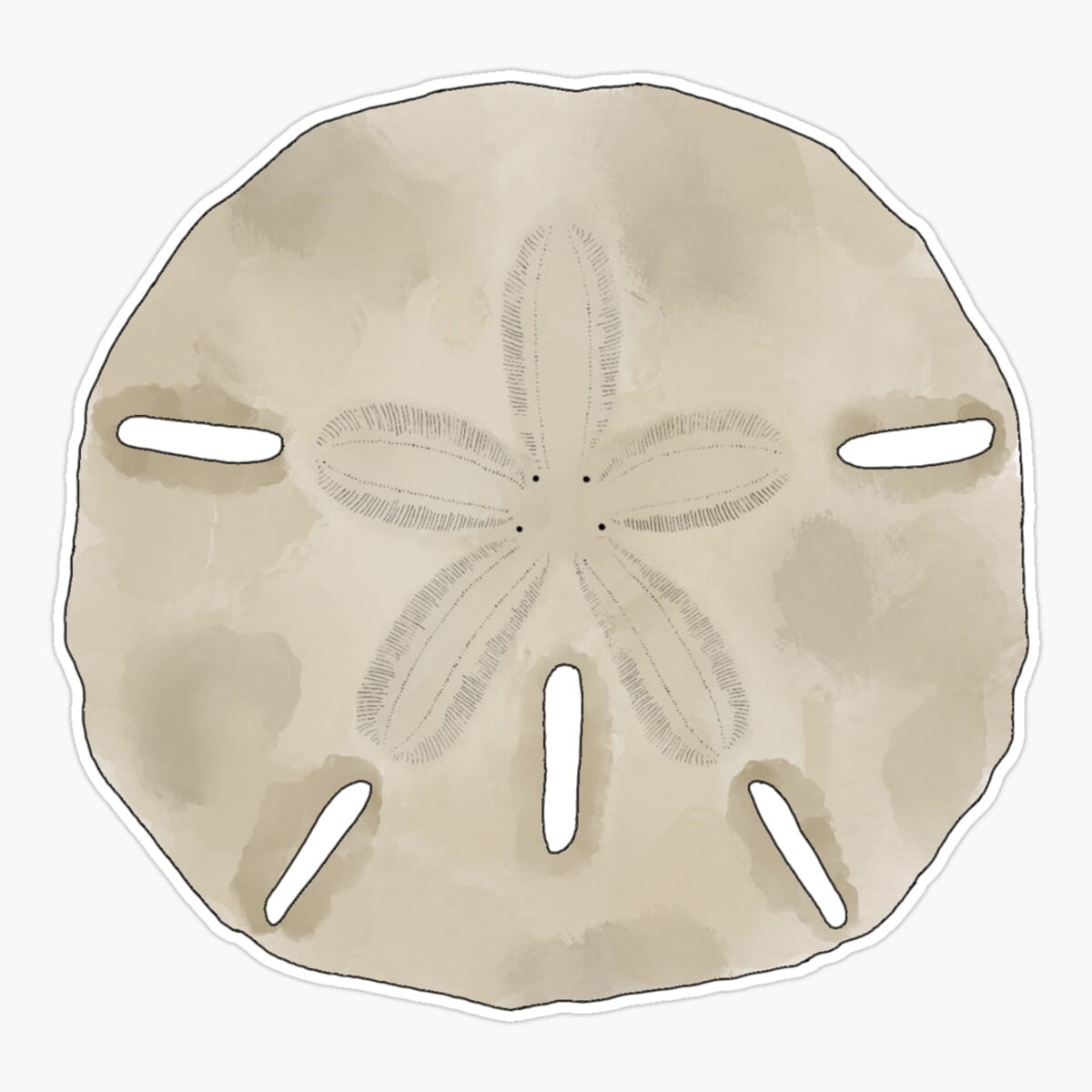 Maneki Watercolor Sand Dollar Sticker, Phone Decal Water Bottle ...