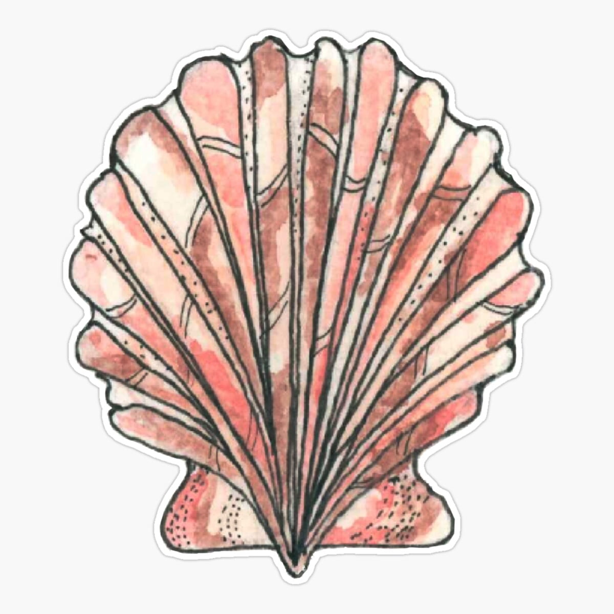 Maneki Watercolor Seashell Sticker, Phone Decal Water Bottle Stickers ...