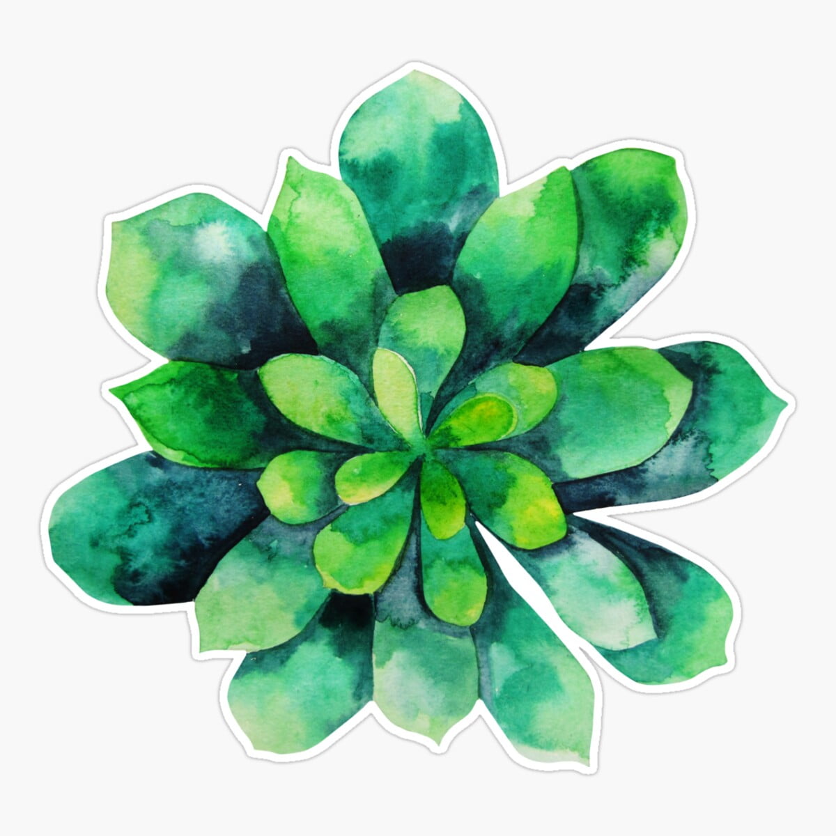 Maneki Watercolor Succulent Sticker, Phone Decal Water Bottle Stickers ...