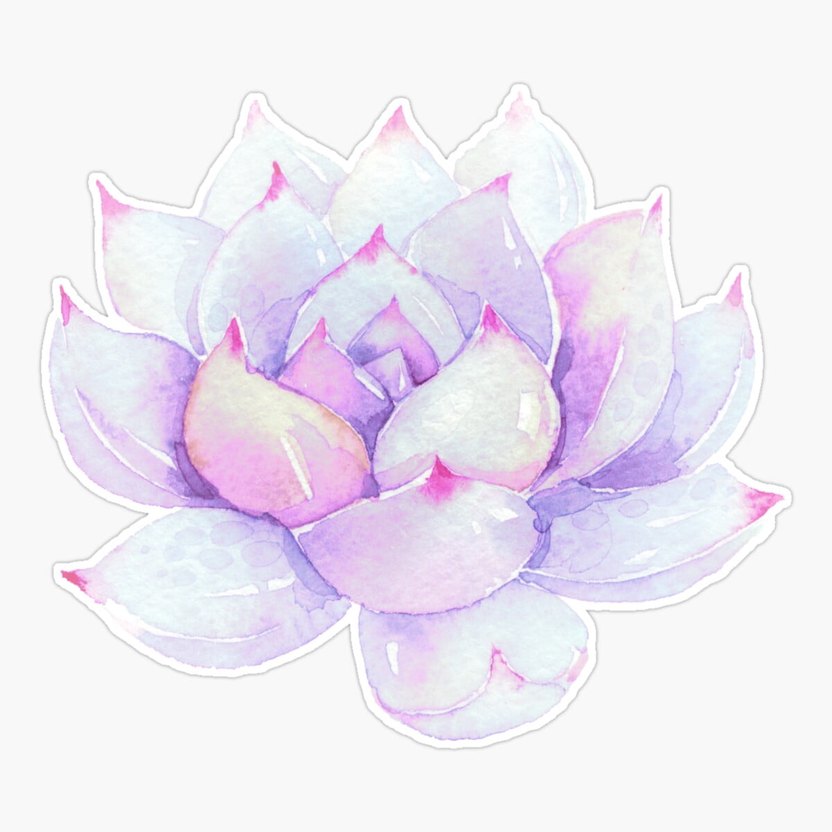 Maneki Watercolor Succulent Sticker Sticker, Phone Decal Water Bottle ...