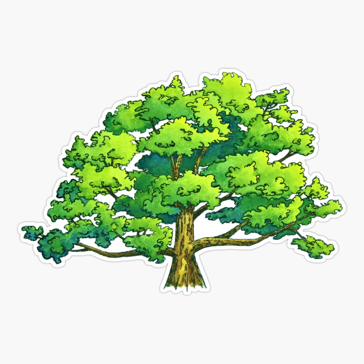 Maneki Watercolor White Oak Tree Sticker, Phone Decal Water Bottle ...