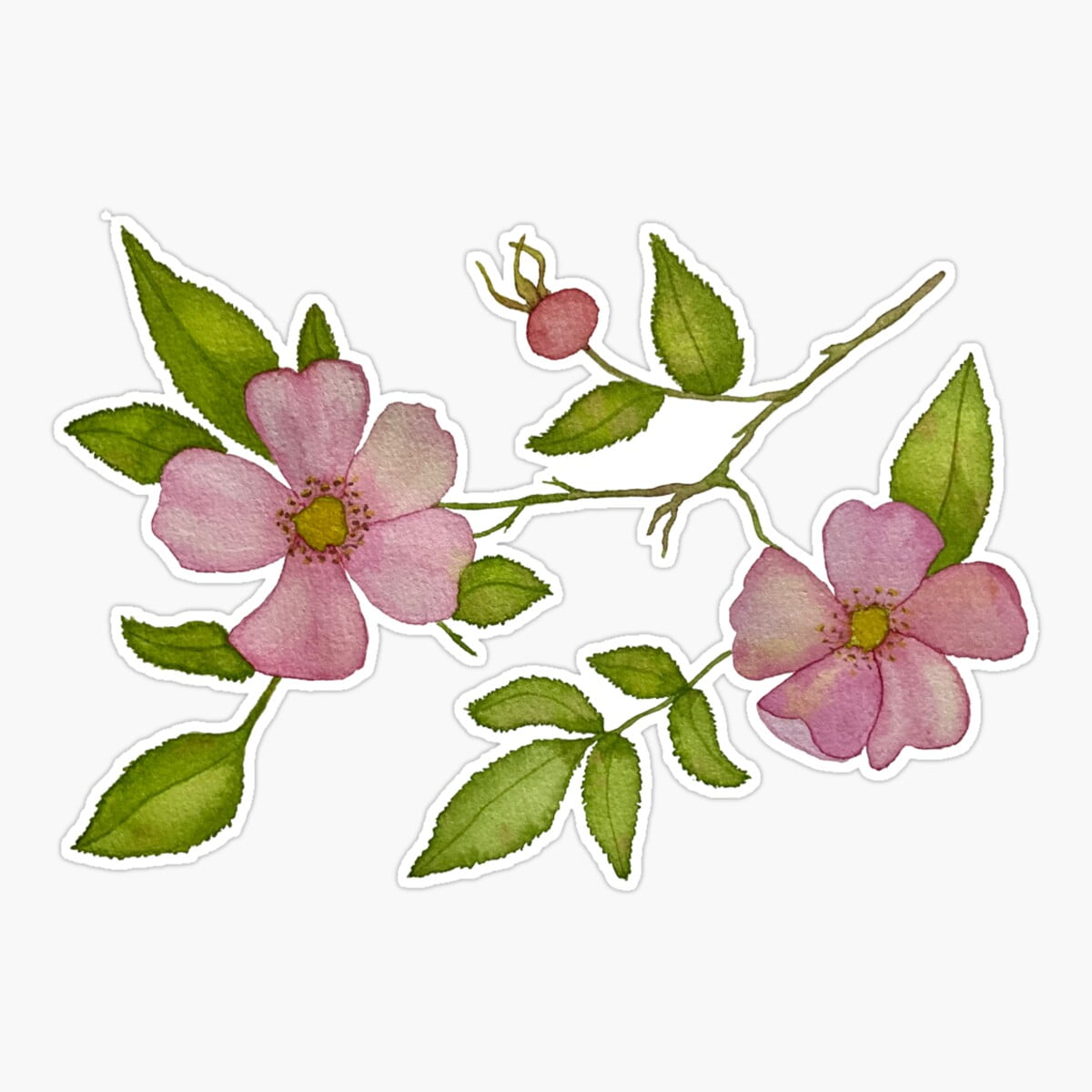 Maneki Watercolor Wild Rose Sticker, Phone Decal Water Bottle Stickers ...