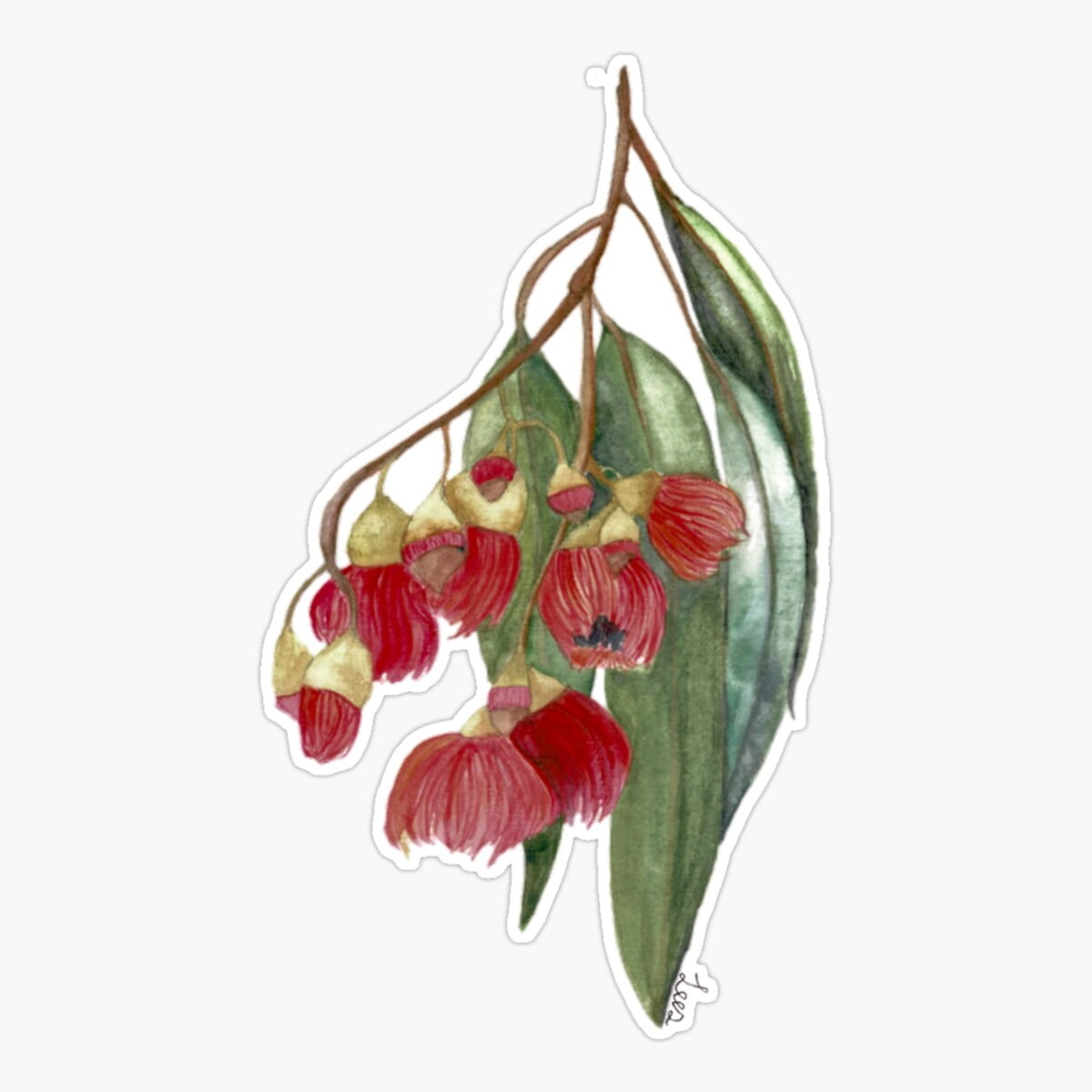 Maneki Watercolour Gum Tree Sticker, Phone Decal Water Bottle Stickers ...