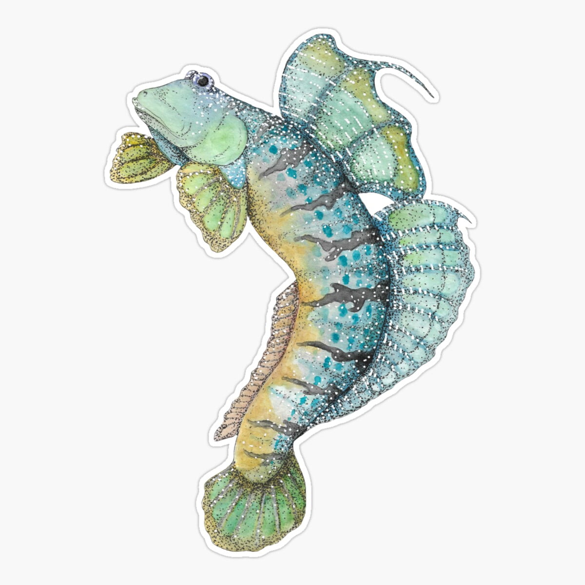 Maneki Watercolour Mudskipper Sticker, Phone Decal Water Bottle ...