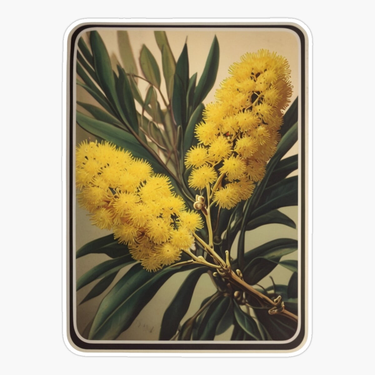 Maneki Wattle With Retro Twist. Sticker, Phone Decal Water Bottle ...