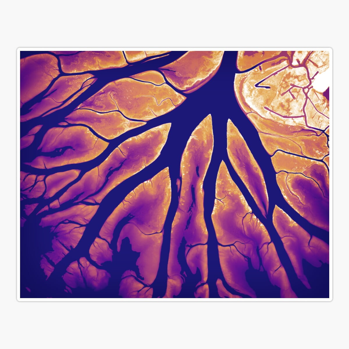 Maneki Wax Lake Delta Sticker, Phone Decal Water Bottle Stickers Car ...