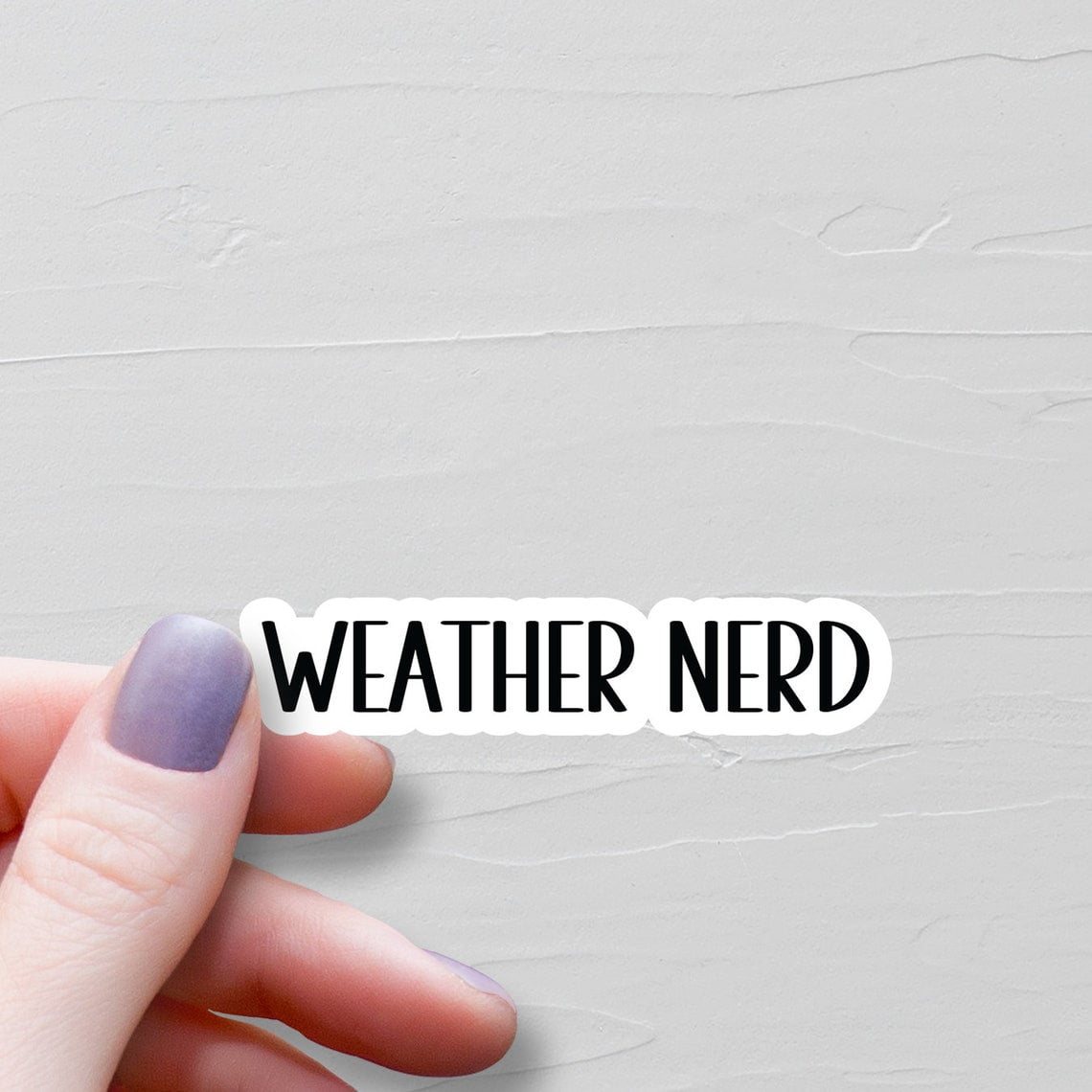 Maneki Weather Nerd Er, Vinyl Ers, Meteorologist Gifts, Water Bottle ...
