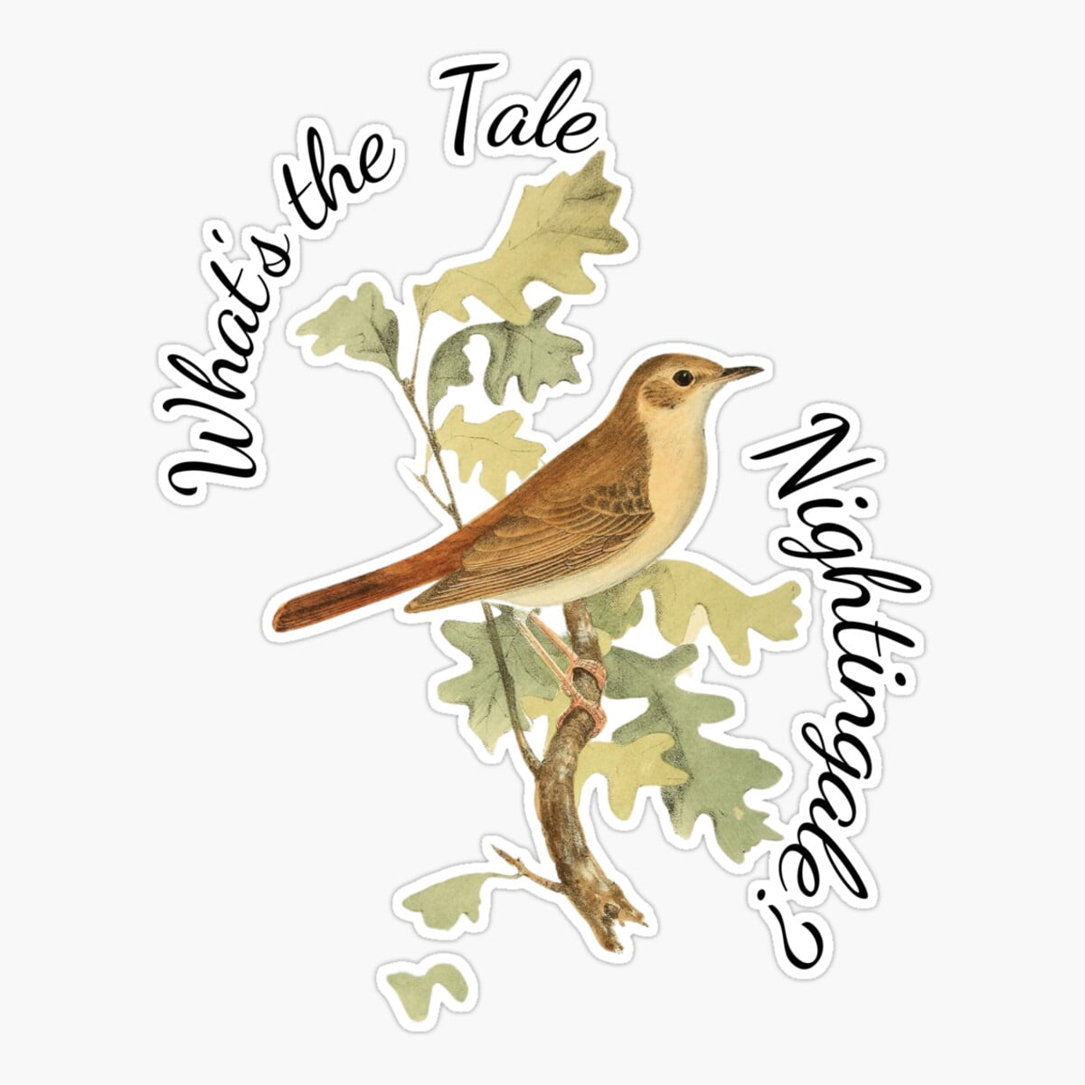 Maneki What'S The Tale Nightingale Botanical Art Sticker, Phone Decal ...