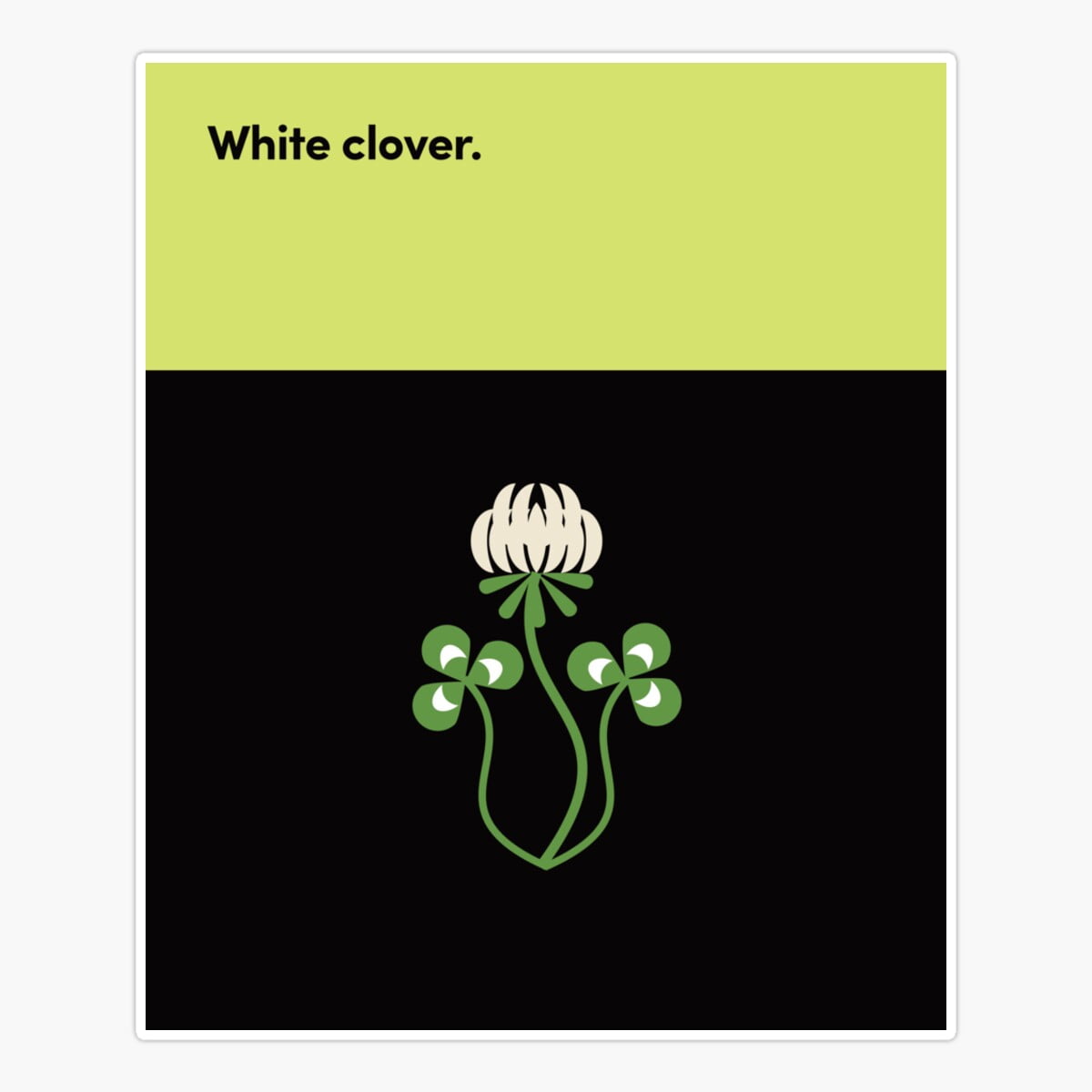 Maneki White Clover (Trifolium Repens) Sticker, Phone Decal Water ...
