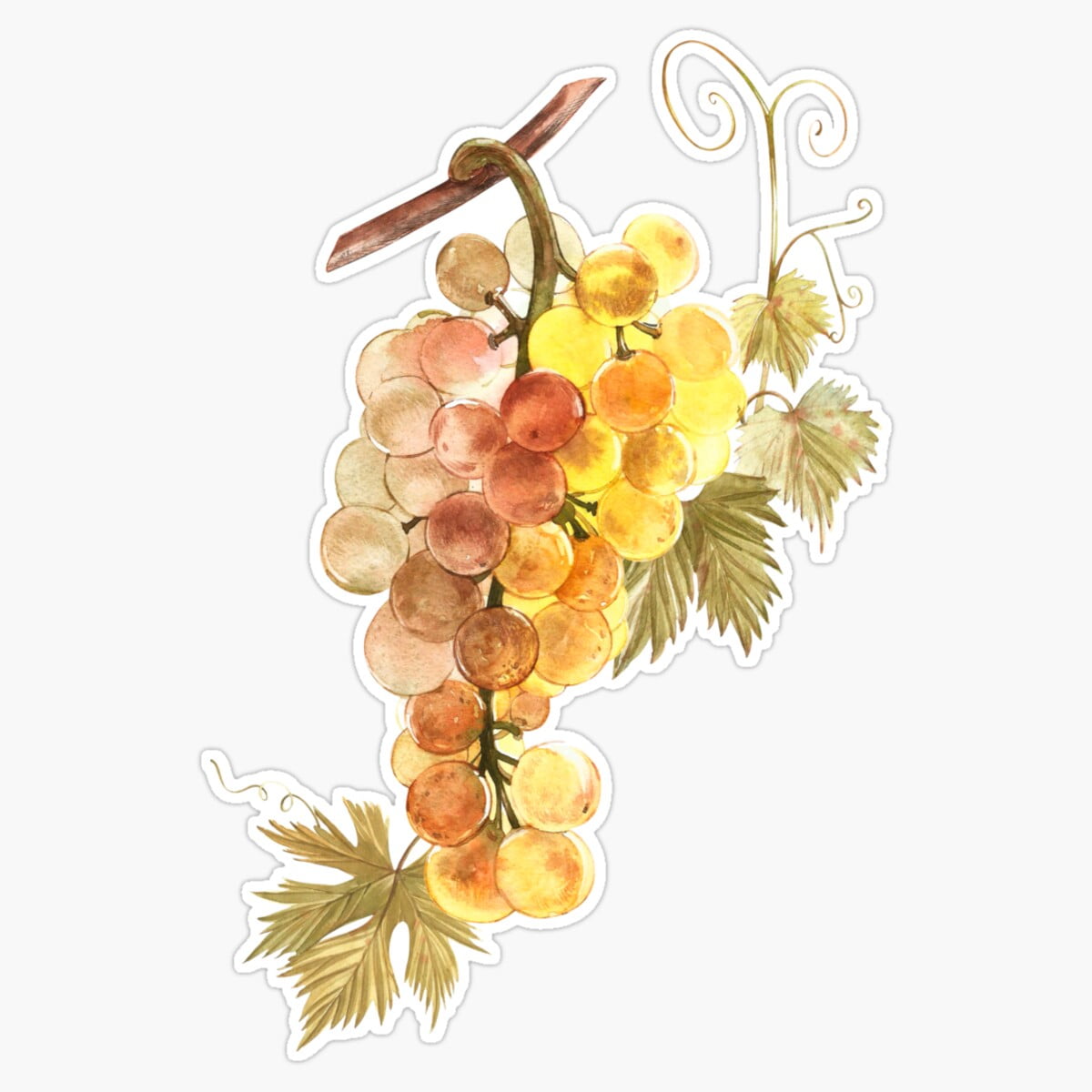 Maneki White Grapes Er, Phone Decal Water Bottle Stickers Car Decals ...