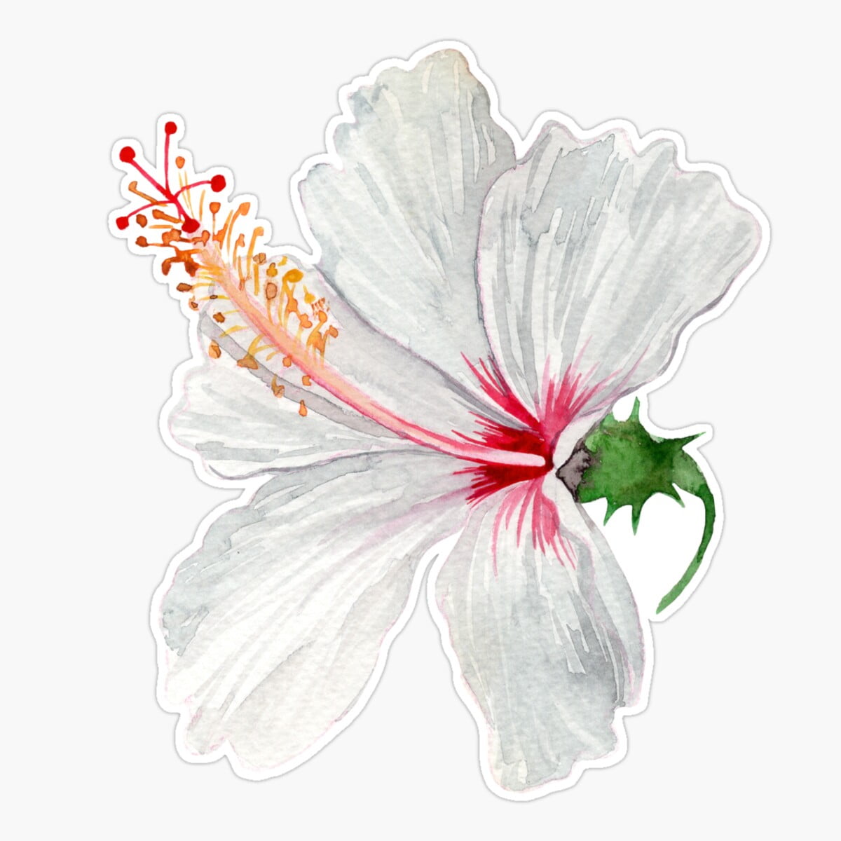 Maneki White Hibiscus Sticker Sticker, Phone Decal Water Bottle ...