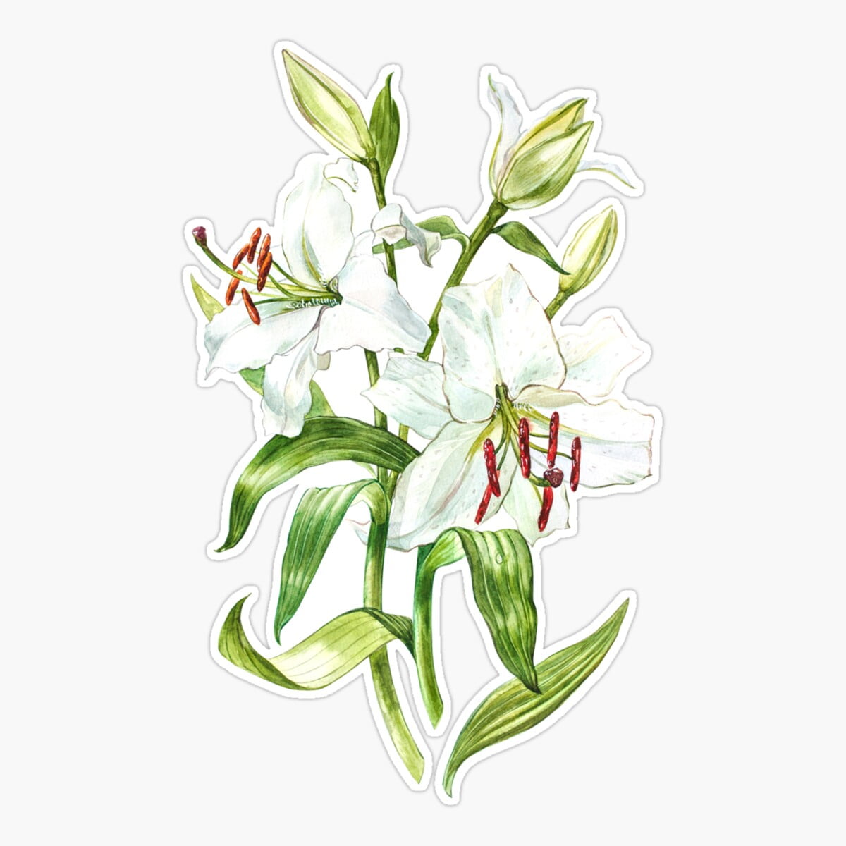 Maneki White Lilies Sticker, Phone Decal Water Bottle Stickers Car ...