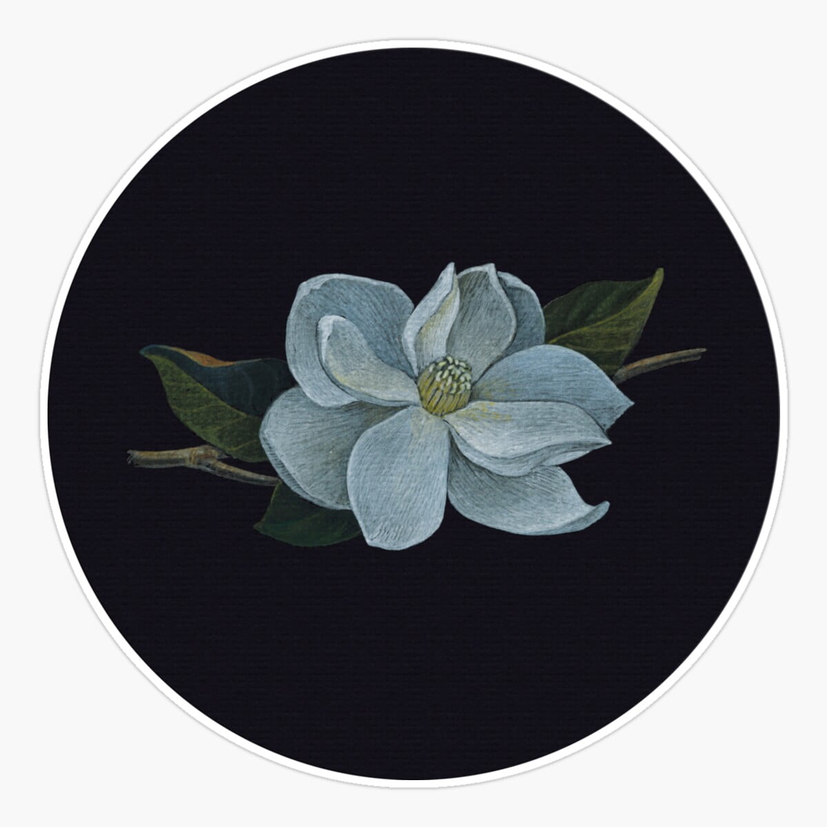 Maneki White Magnolia. Watercolor Painting On Black Paper. Sticker ...