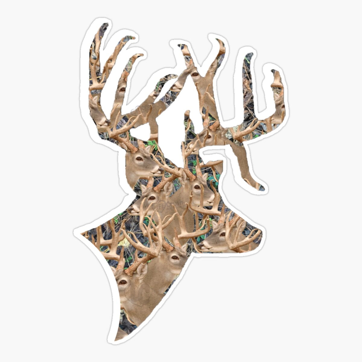 Maneki Whitetail Buck Deer, Camo Buck Head, Deer Hunting, Deer Season ...