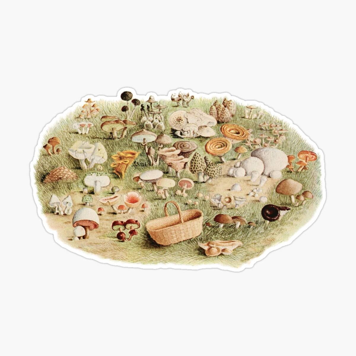Maneki Wild Mushrooms Vintage Cottagecore Illustration Sticker, Phone ...