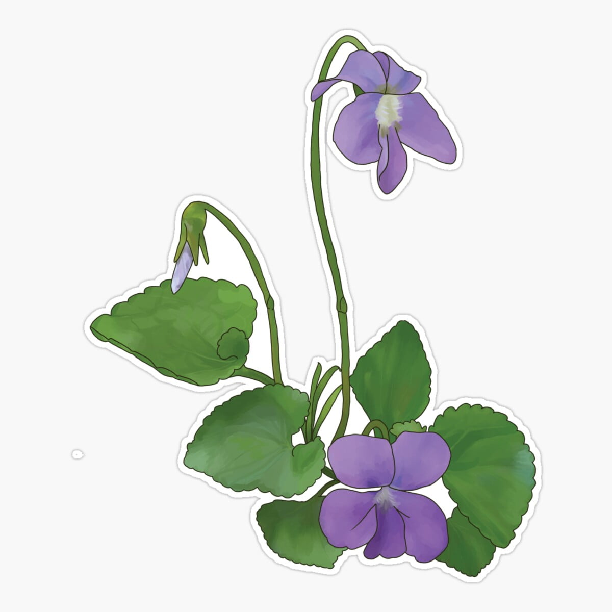 Maneki Wild Violet Sticker, Phone Decal Water Bottle Stickers Car ...