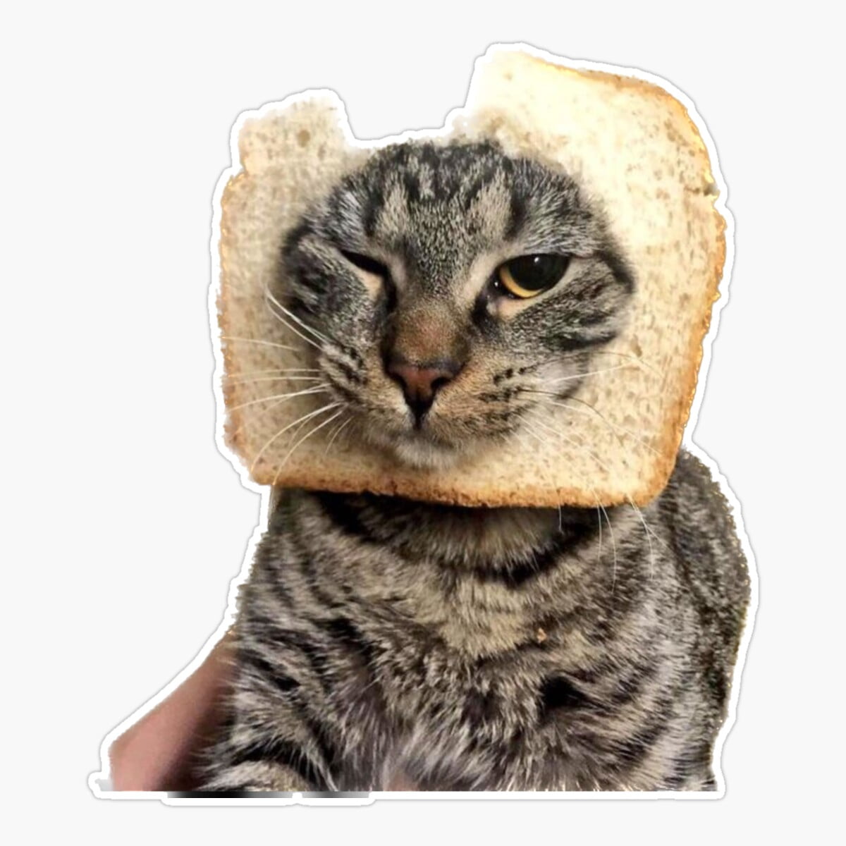 Maneki Winking Bread Cat Sticker, Phone Decal Water Bottle Stickers Car ...