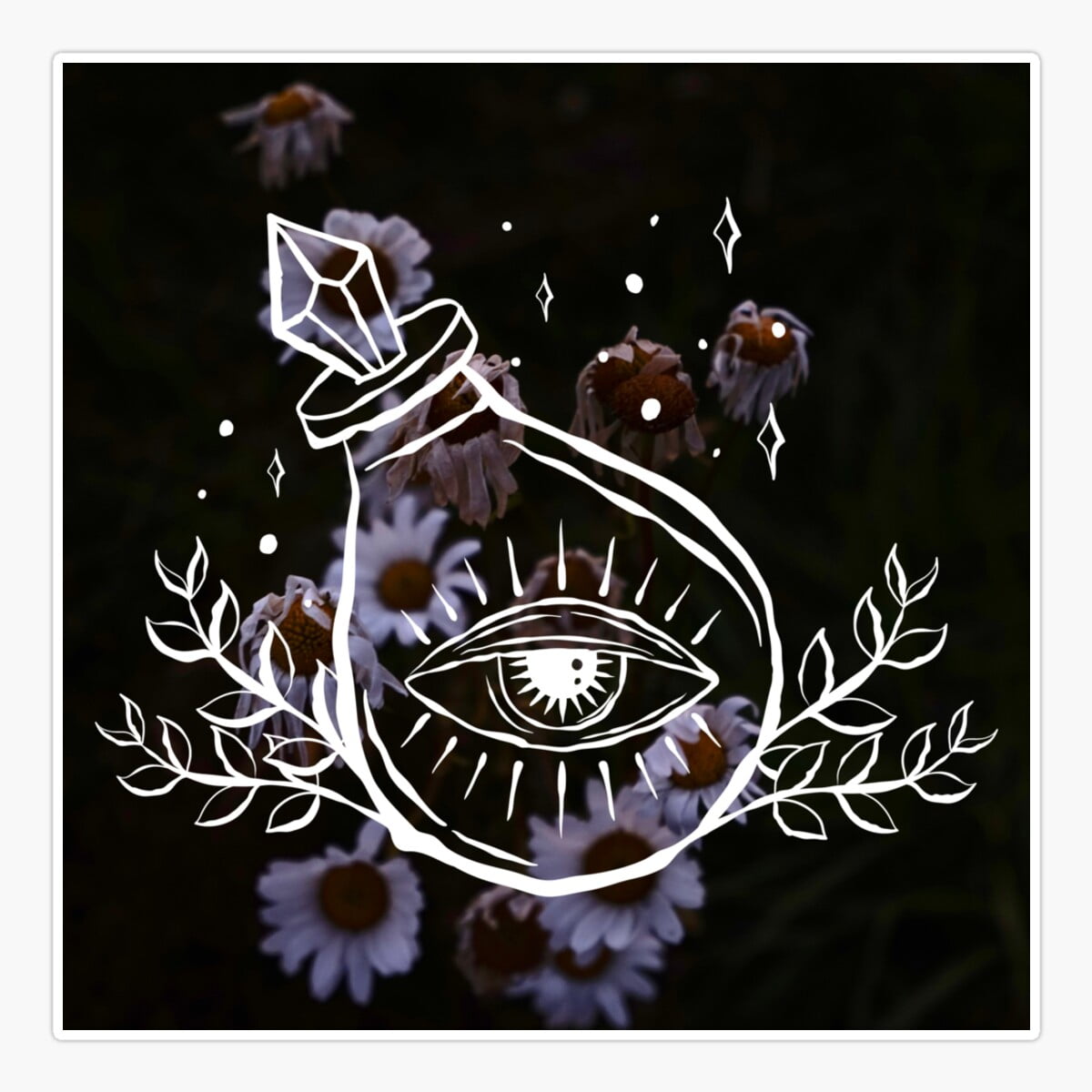 Maneki Witch Ox Eye Daisy Crystal Bottle Flower Dark Botanical Sticker ...