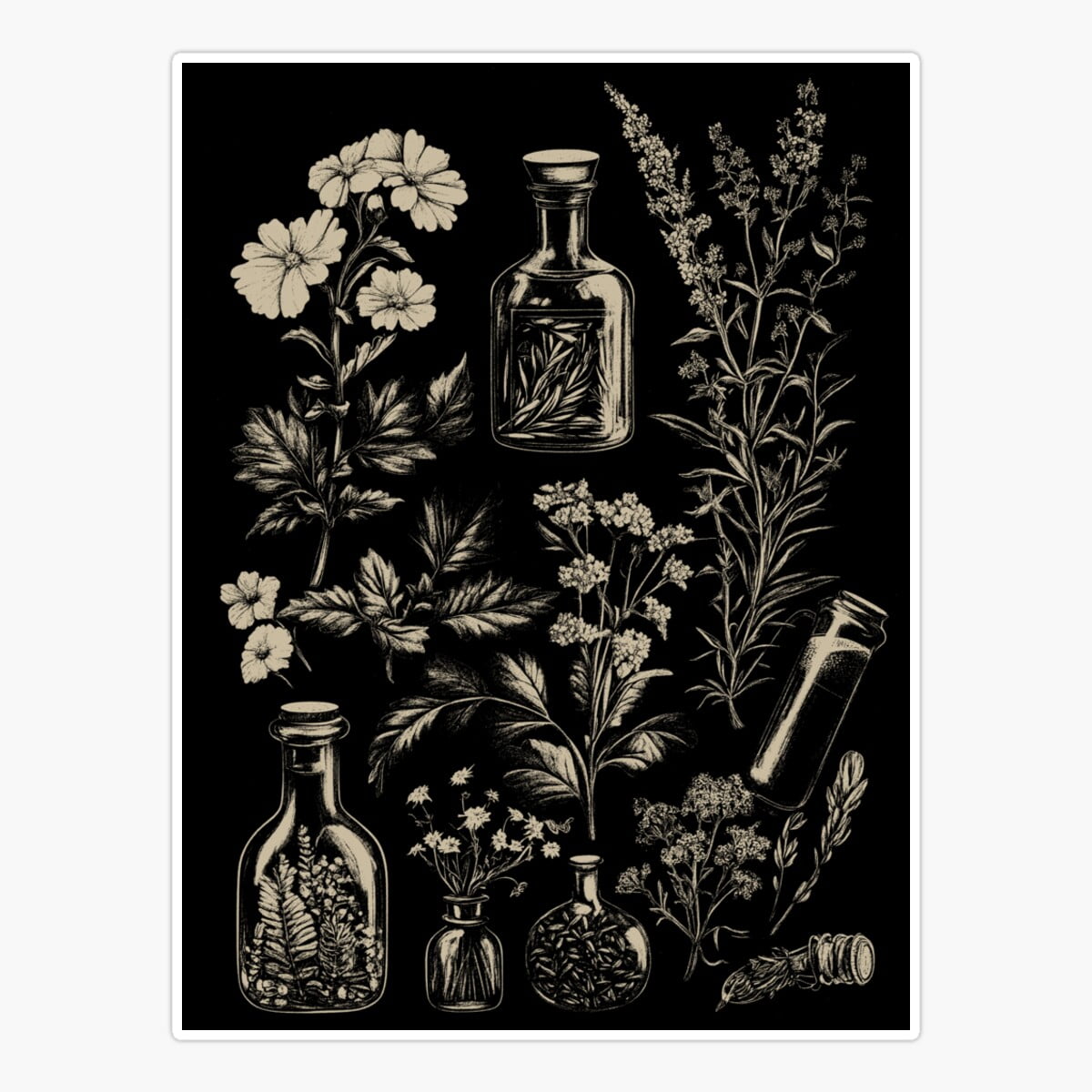 Maneki Witchy Alchemy Botanical Potions Sticker, Phone Decal Water ...