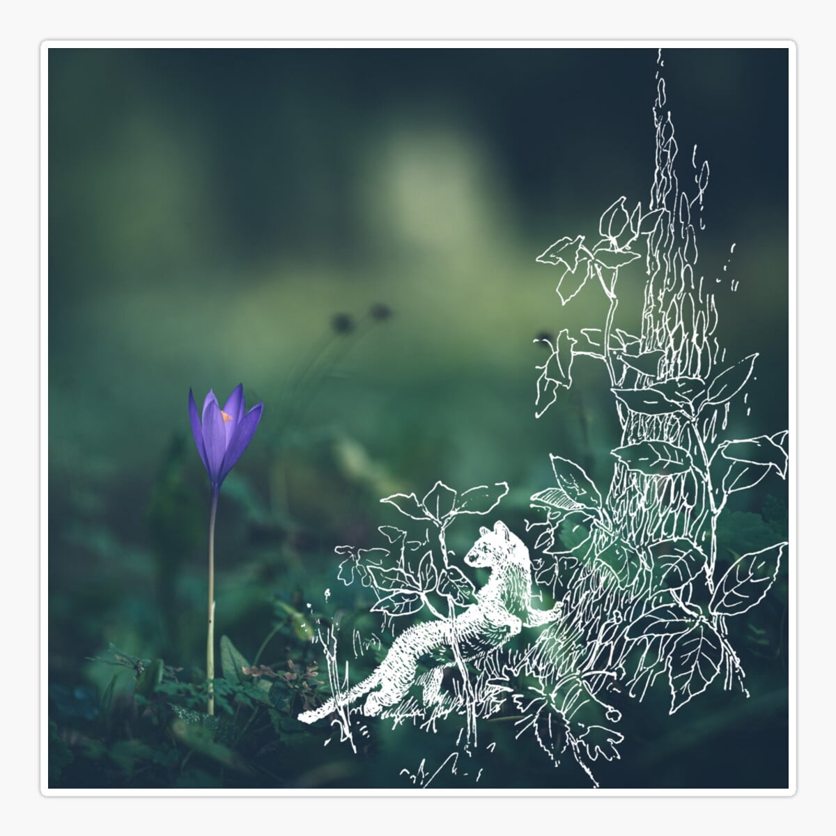 Maneki Witchy Dark Woodland With Crocus And Stoat Sticker, Phone Decal ...