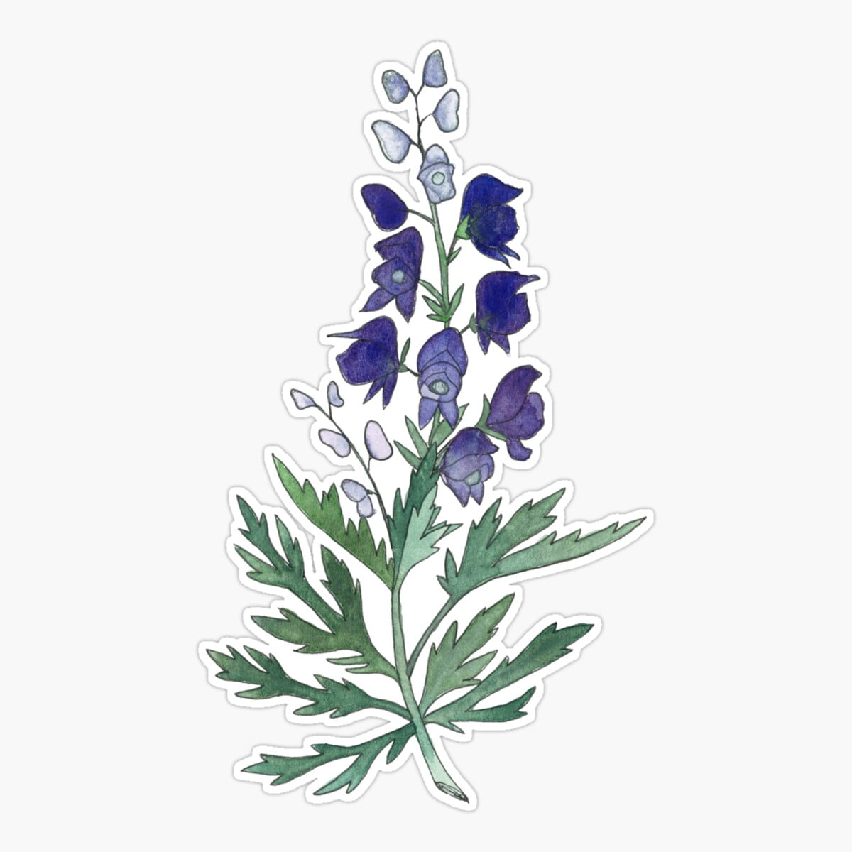 Maneki Wolfsbane Watercolor Flower Drawing Sticker, Phone Decal Water ...