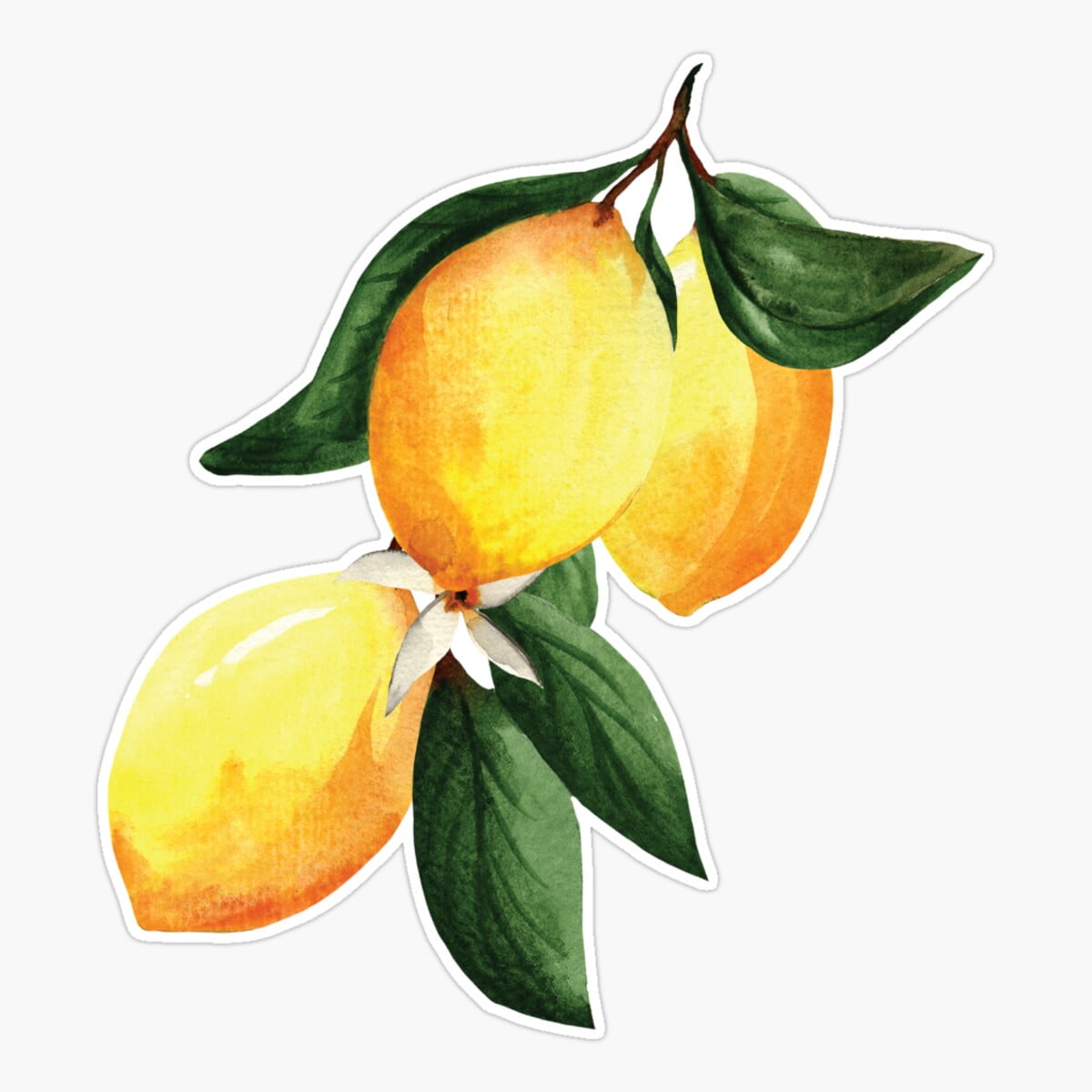 Maneki Yellow Lemon Branch Watercolor Botanical Drawing Sticker, Phone ...