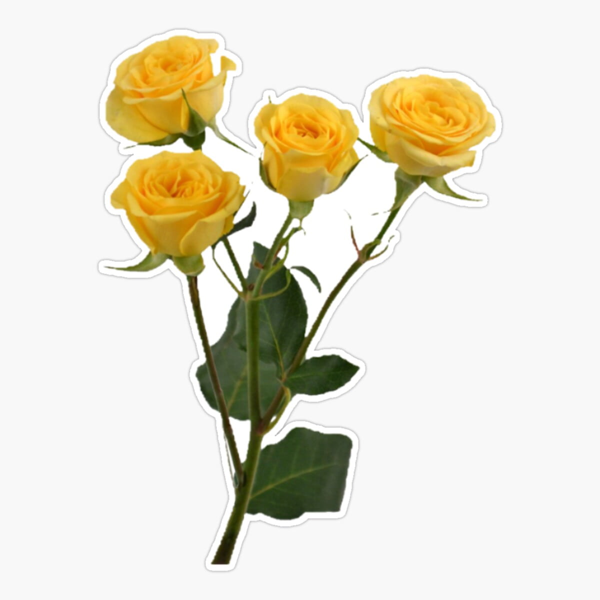 Maneki Yellow Rose Bouquet Sticker Sticker, Phone Decal Water Bottle ...