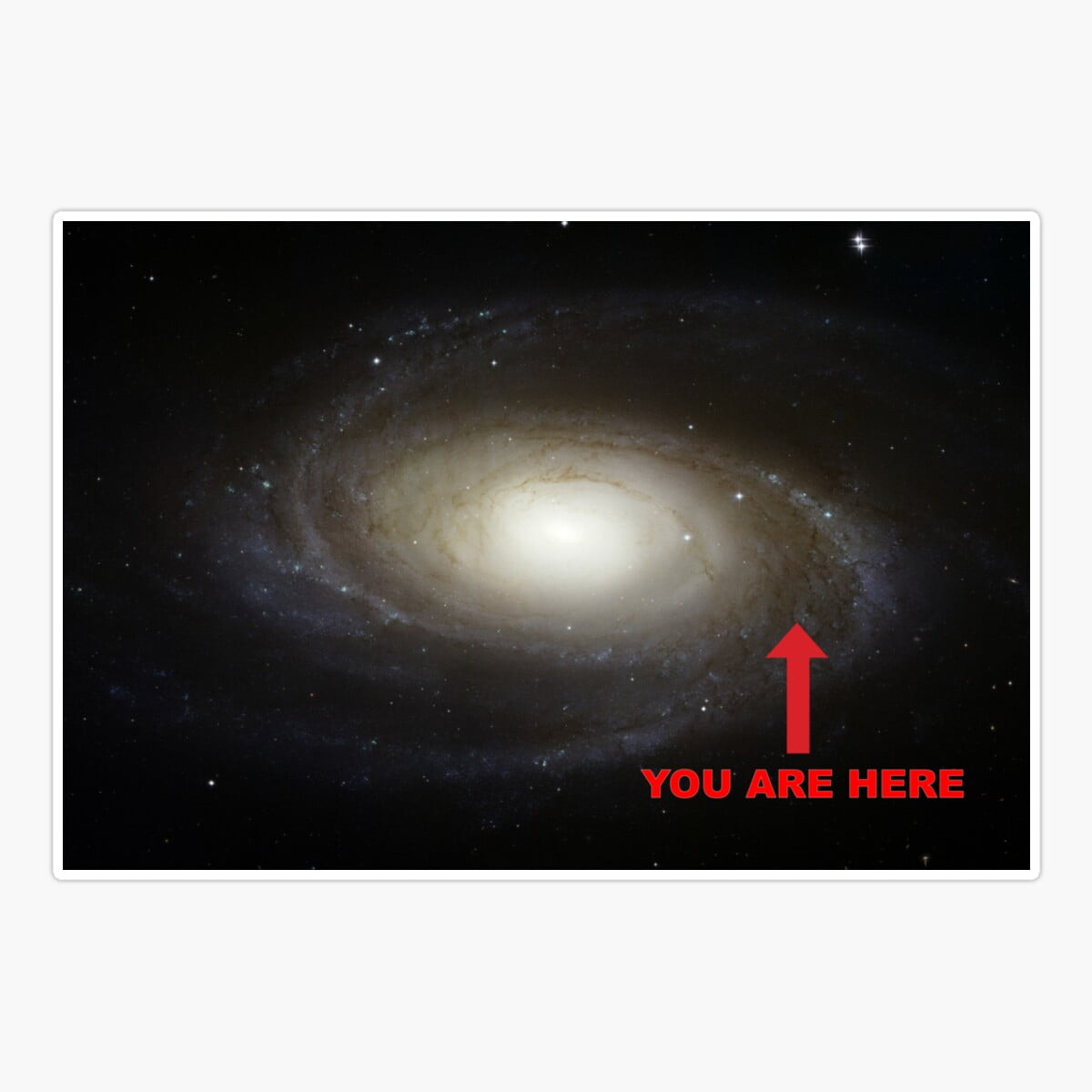 Maneki You Are Here - Galaxy Sticker, Phone Decal Water Bottle Stickers ...