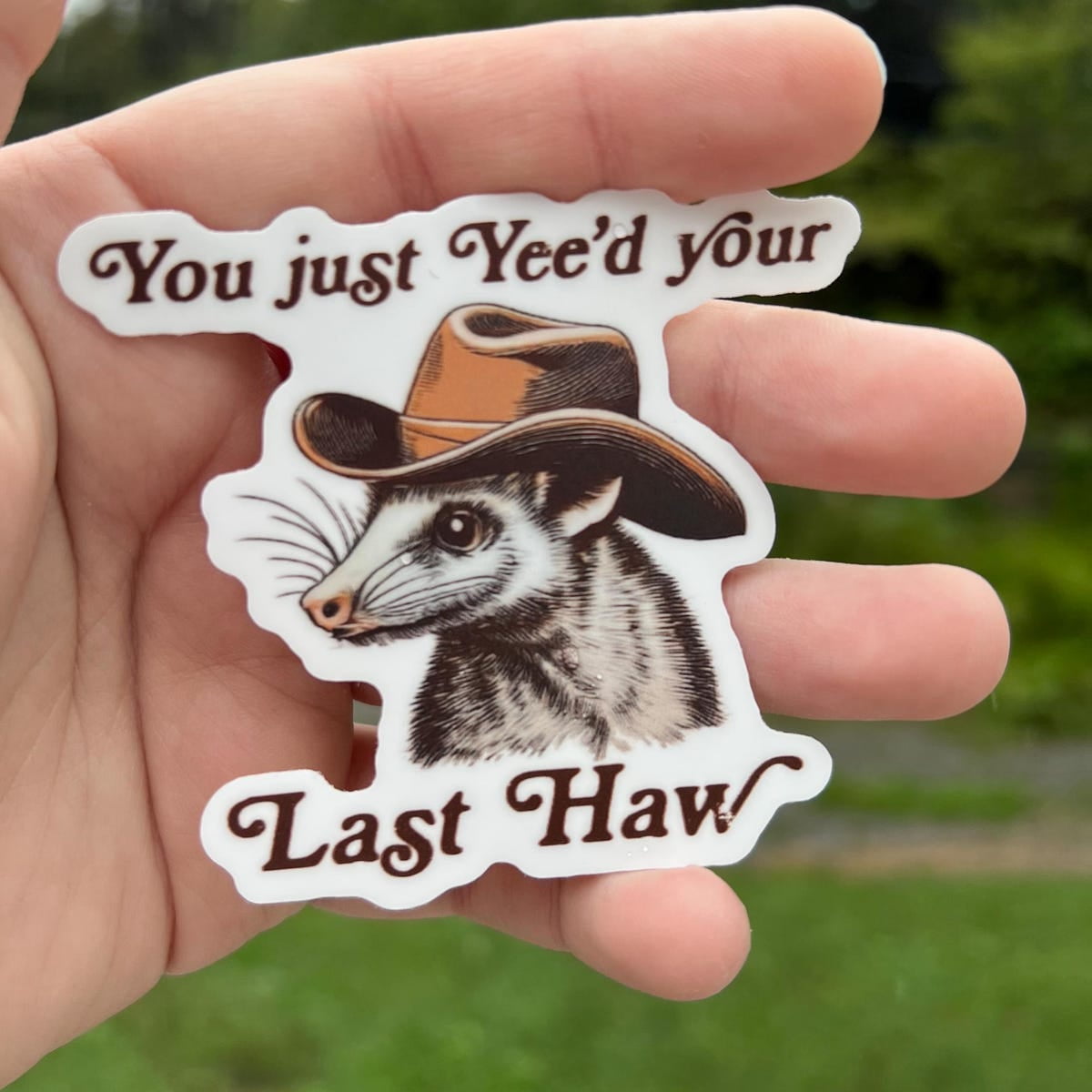 Maneki You Just Yee’D Your Last Haw Possum Sticker, Funny Sticker ...