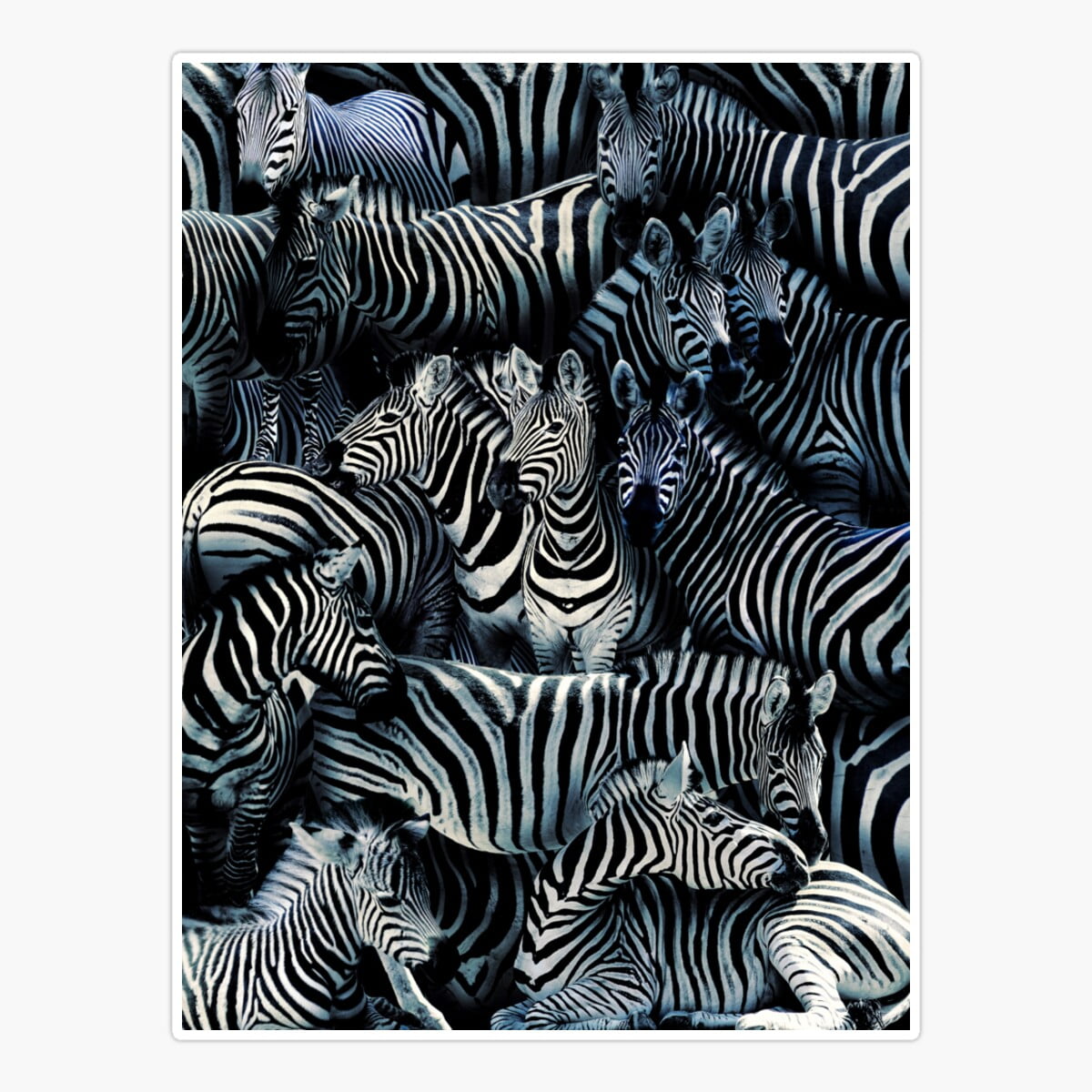 Maneki Zebras Er, Phone Decal Water Bottle Stickers Car Decals, Funny ...