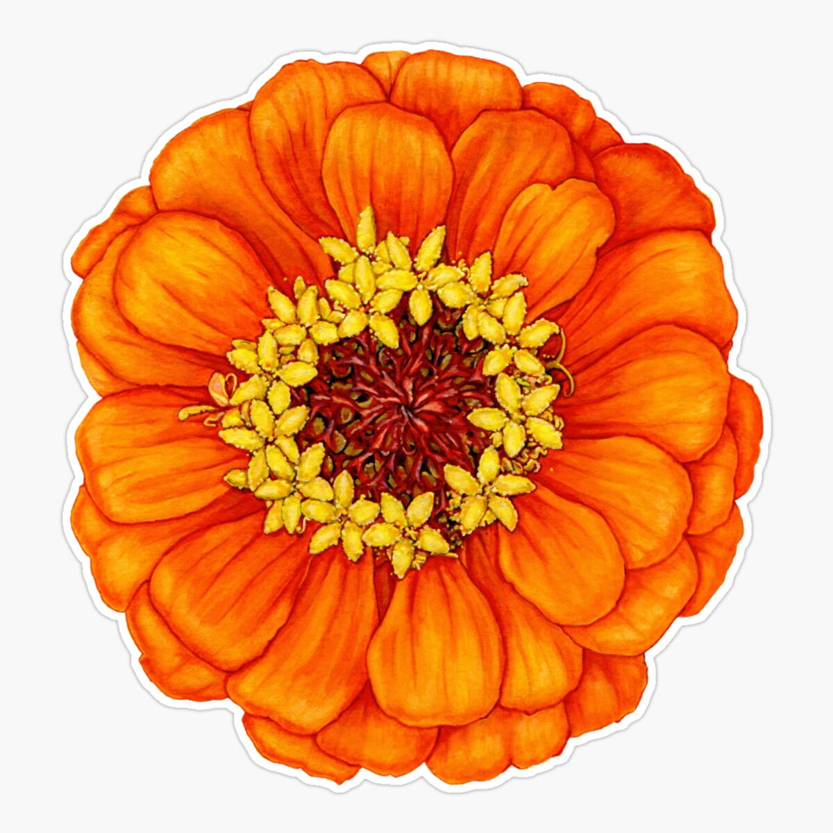Maneki Zinnia In Orange Sticker, Phone Decal Water Bottle Stickers Car ...