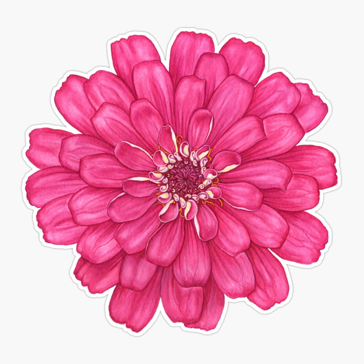Maneki Zinnia In Pink Sticker, Phone Decal Water Bottle Stickers Car ...