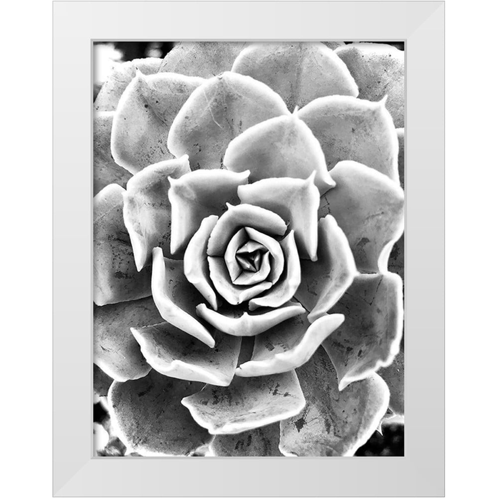 Manelis, Jessica 15x18 White Modern Wood Framed Museum Art Print Titled ...