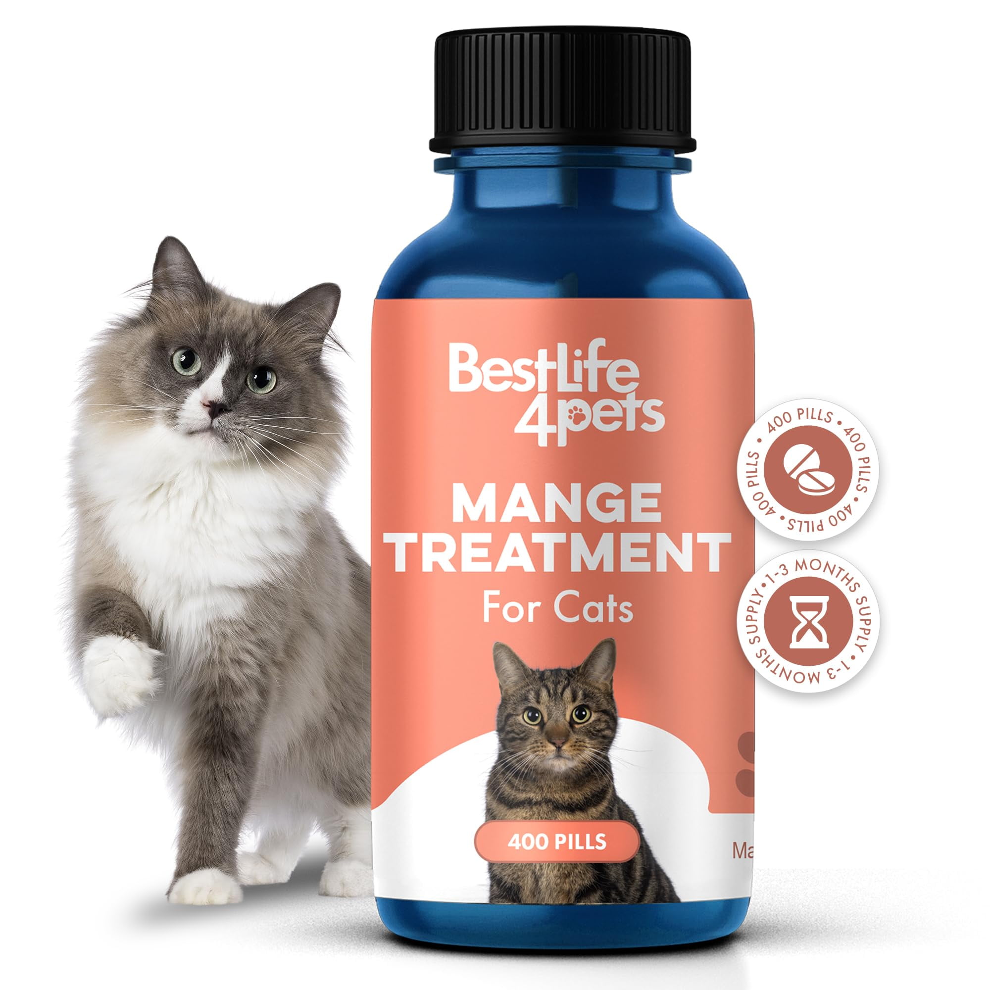 Mange Treatment for Cats, Natural Ear Mite Treatment & Cat Itchy Skin ...