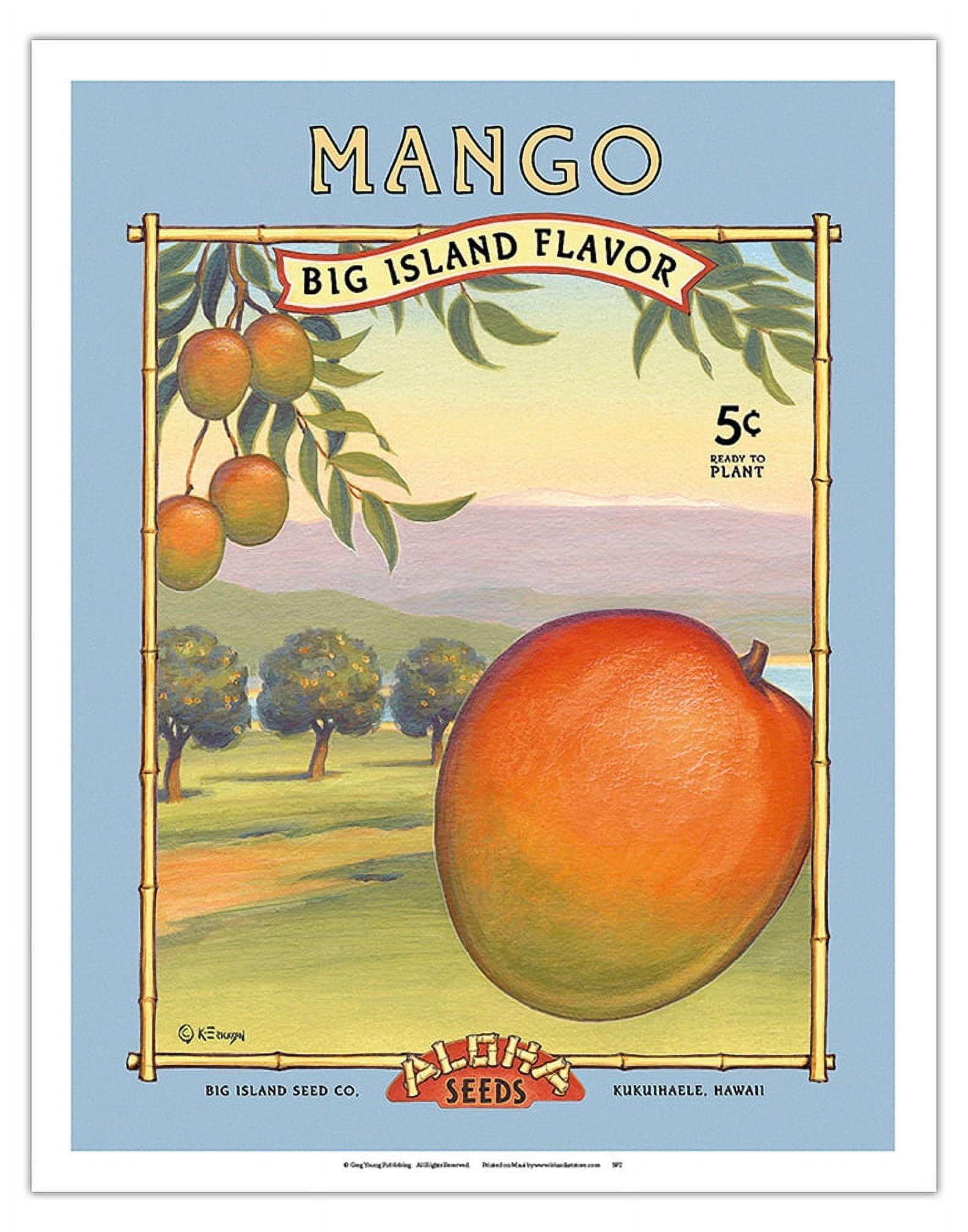 Mango - Aloha Seeds - Big Island Seed Company - Big Island Flavor ...