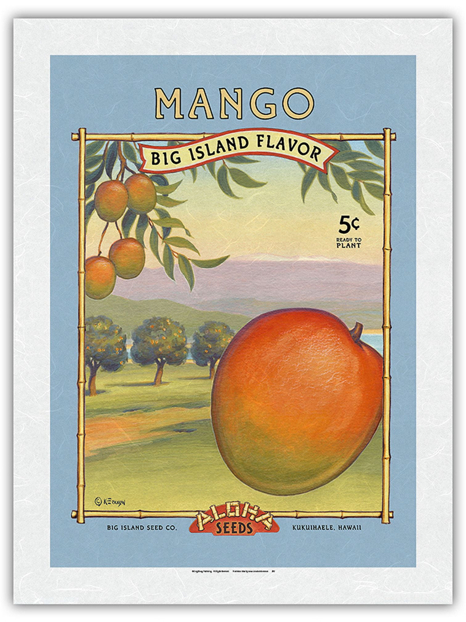 Mango - Aloha Seeds - Big Island Seed Company - Big Island Flavor ...
