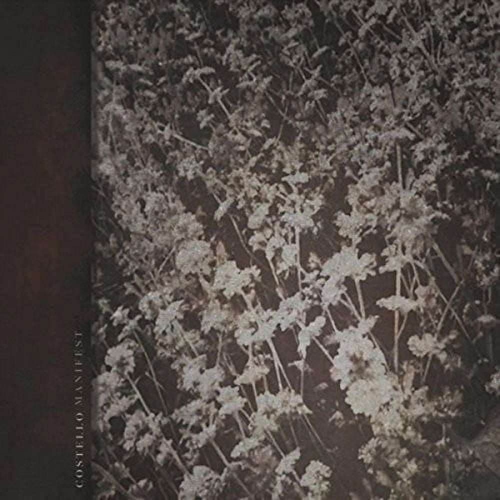 Pre-Owned Manifest (CD) - Walmart.com